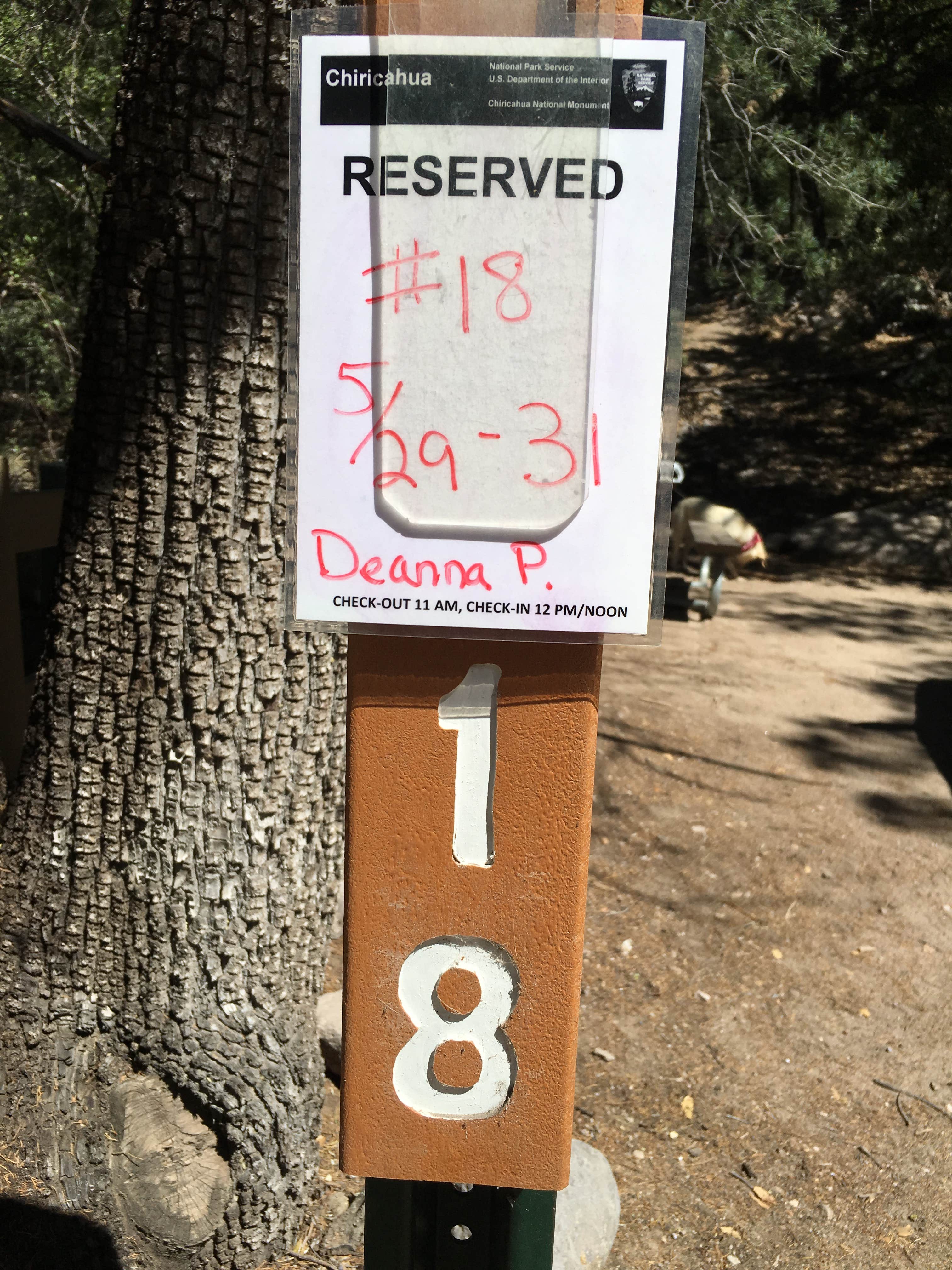 Bonita Canyon Campground — Chiricahua National Monument | Willcox, AZ