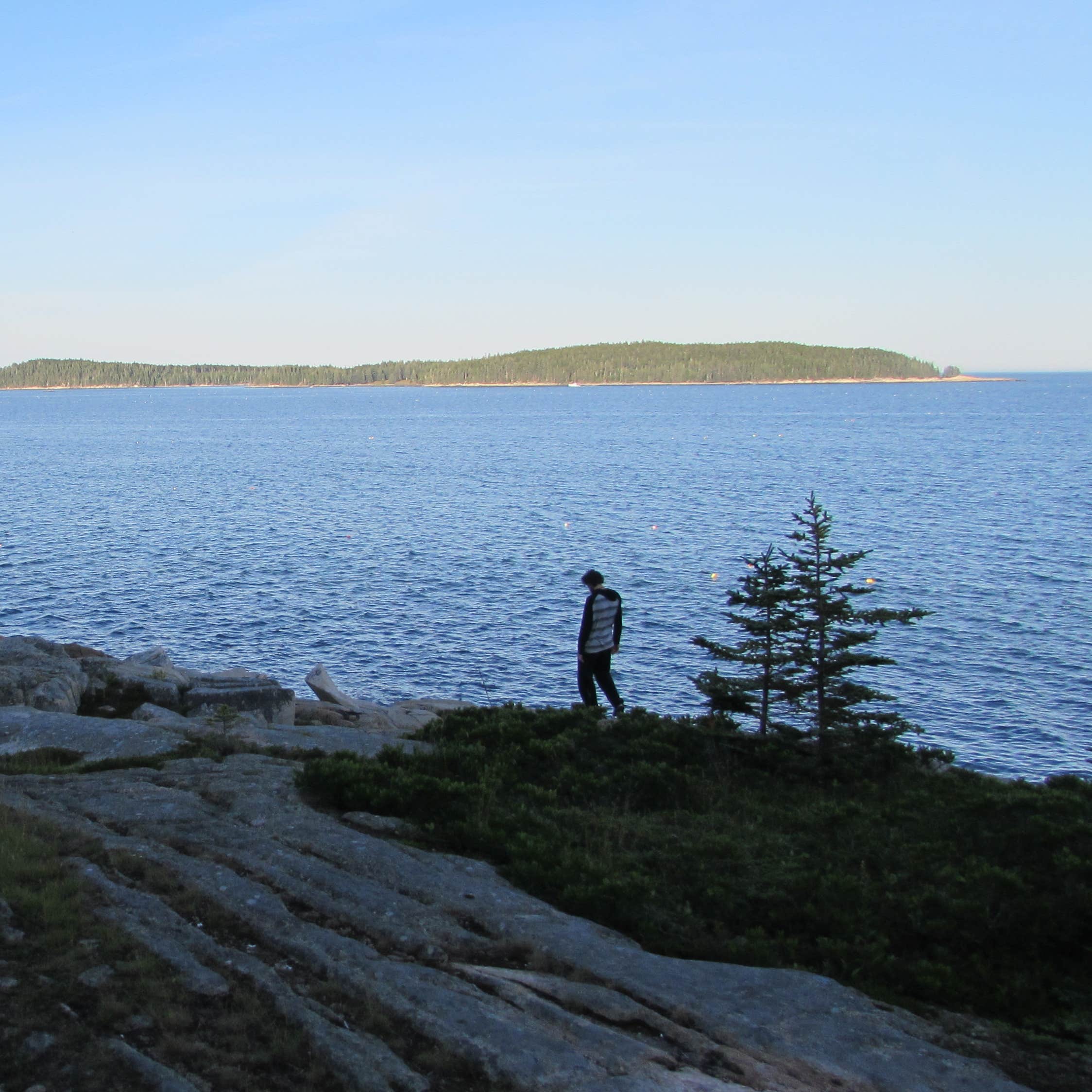 McClellan Park Camping | The Dyrt