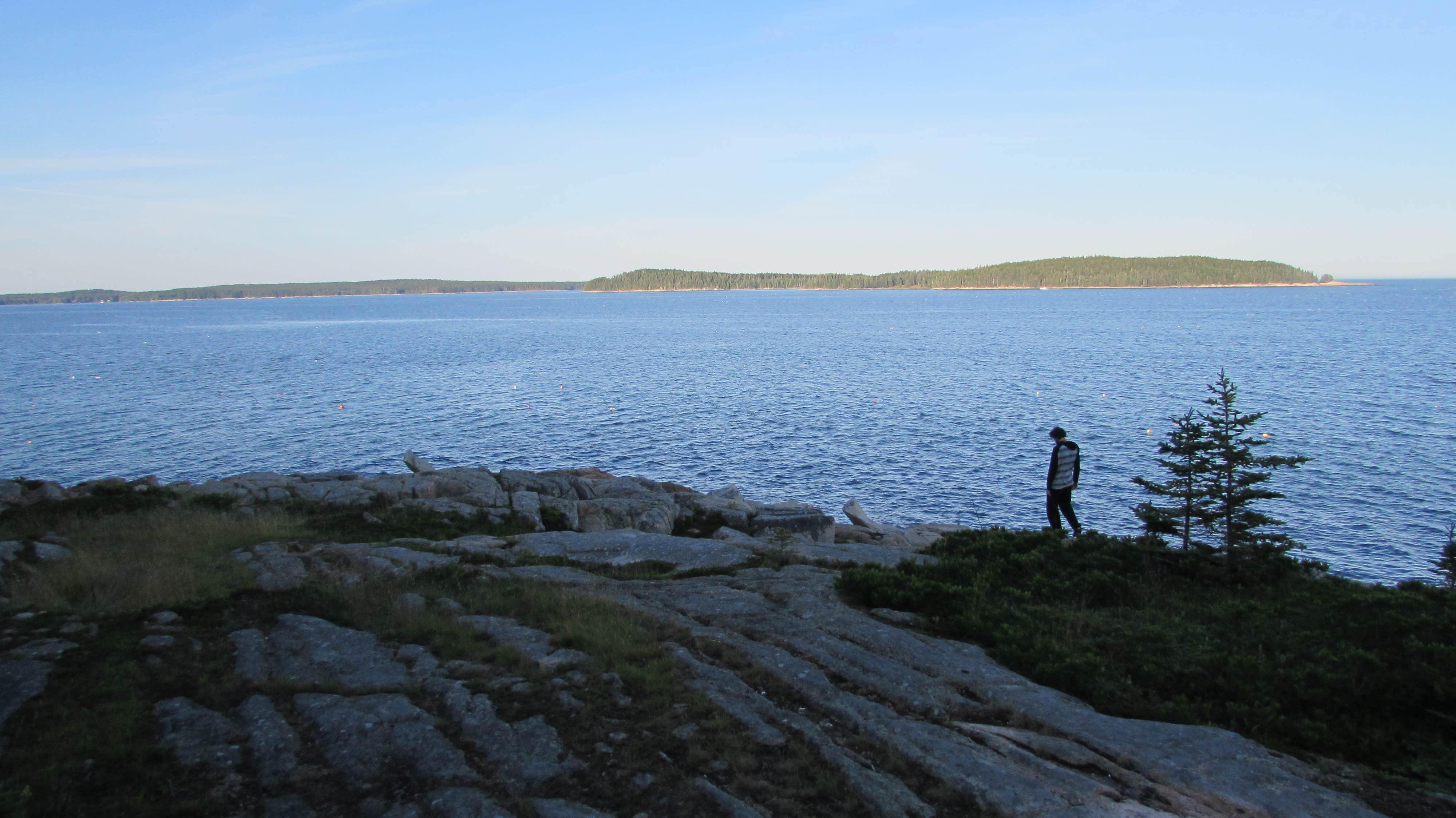 McClellan Park Camping | The Dyrt