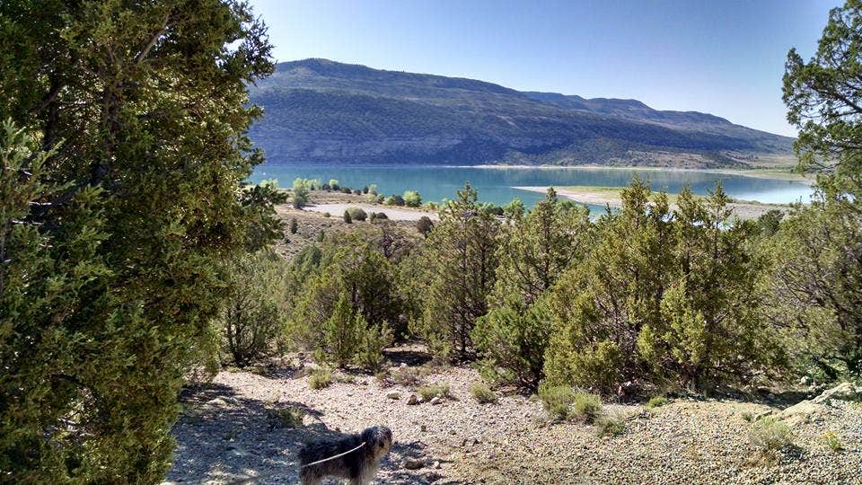 Joes Valley Reservoir Camping | Ferron, UT