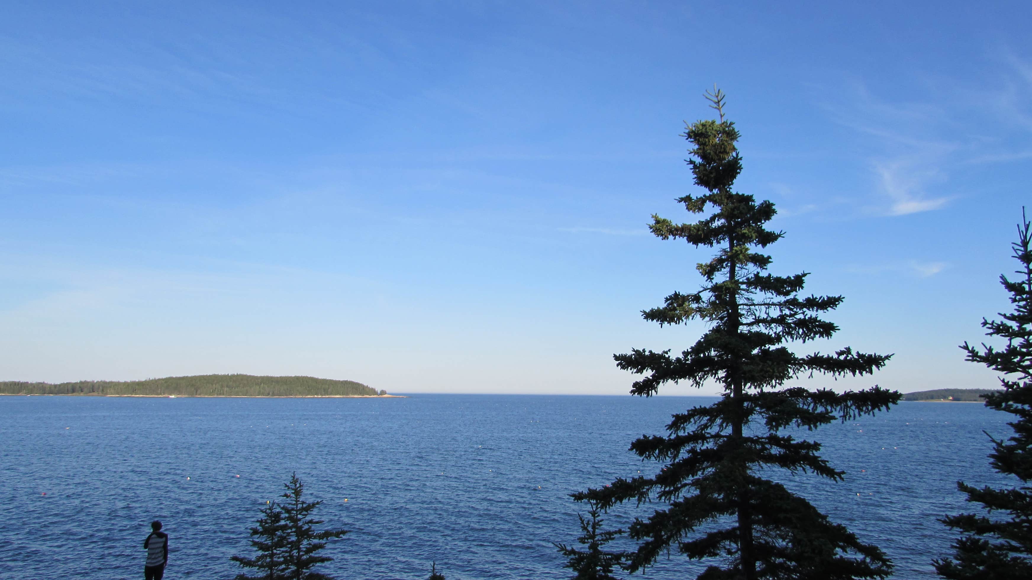 McClellan Park Camping | The Dyrt