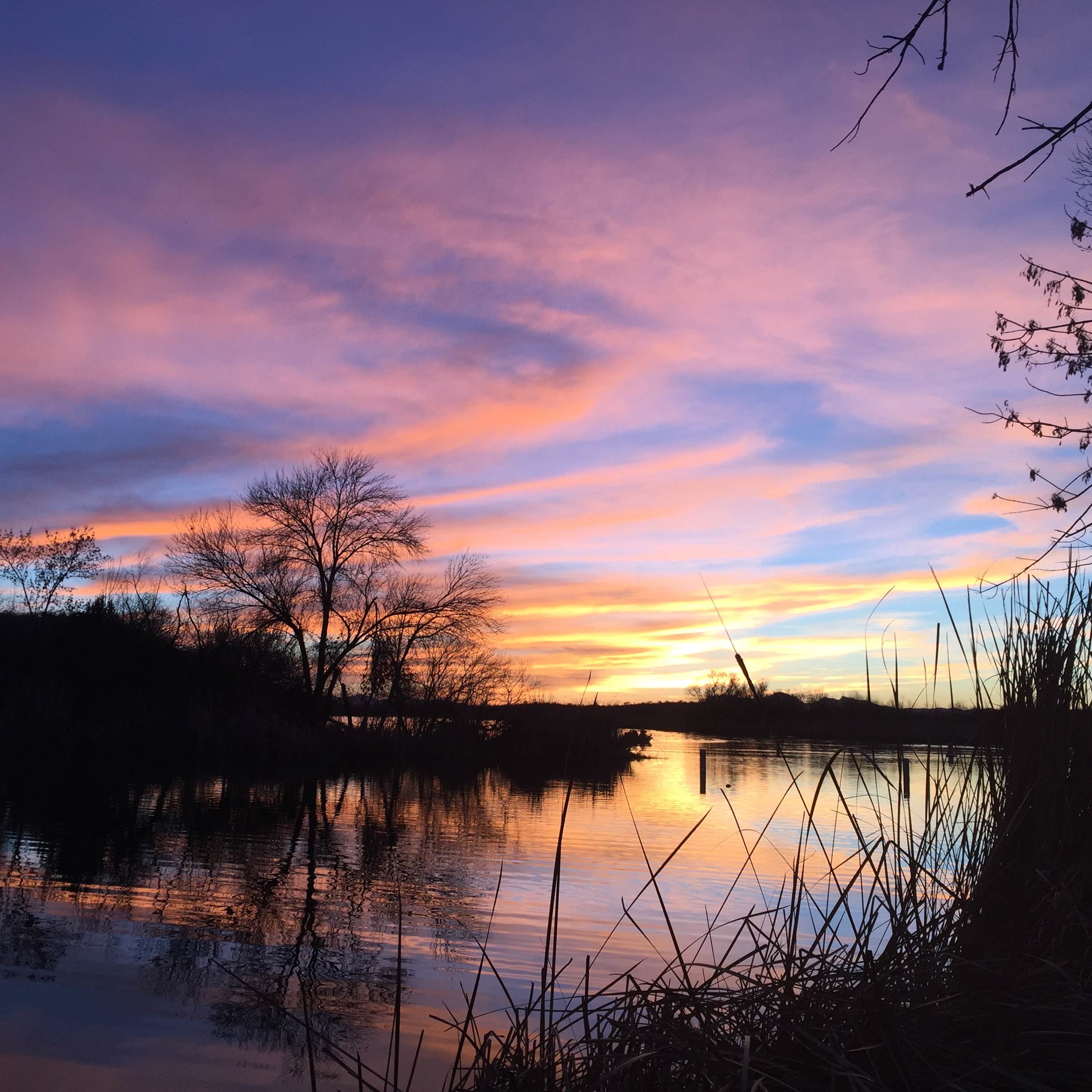 Patagonia Lake State Park Camping | Patagonia, AZ | The Dyrt