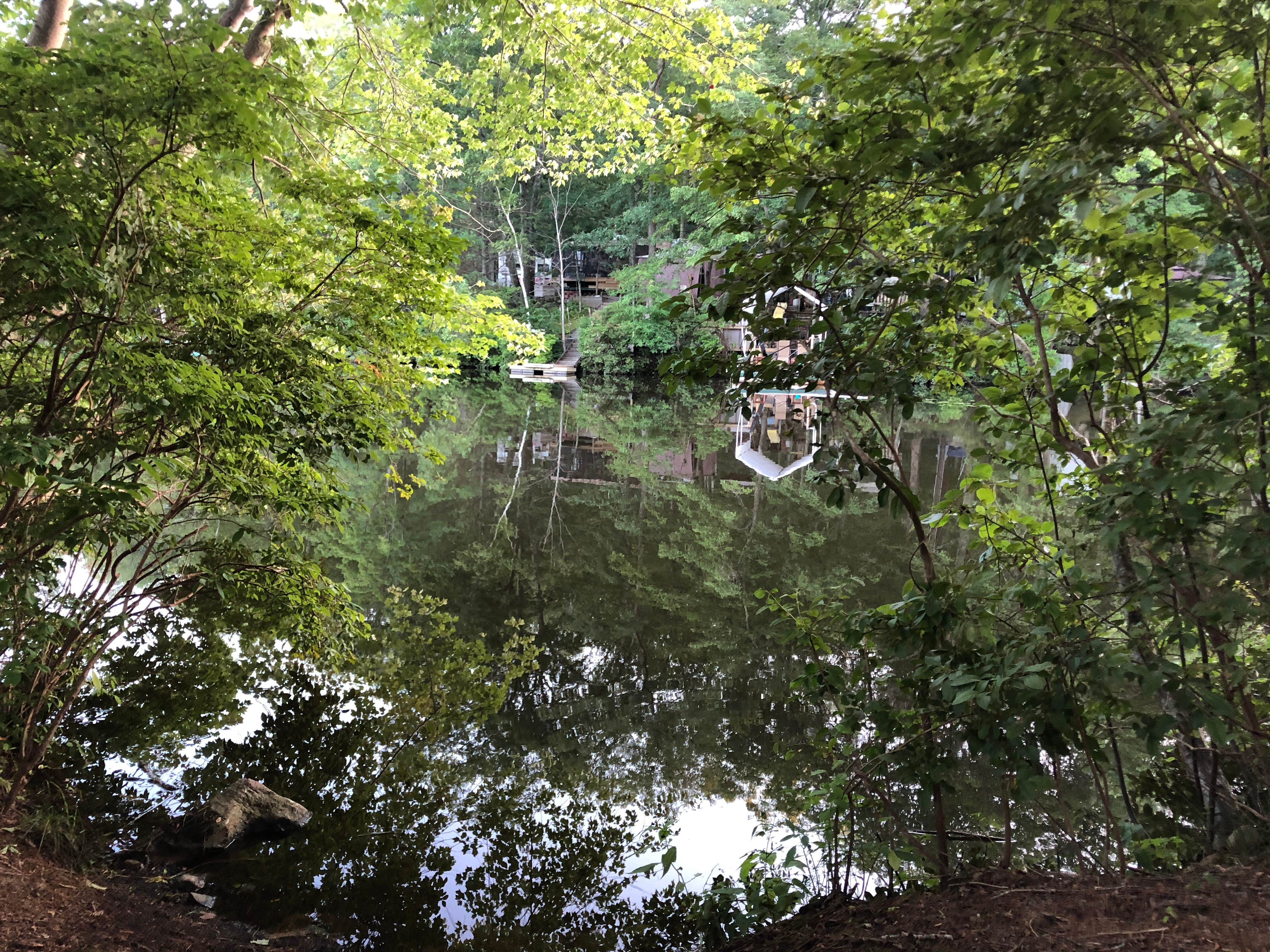 Sutton Falls Camping Area | Sutton, MA