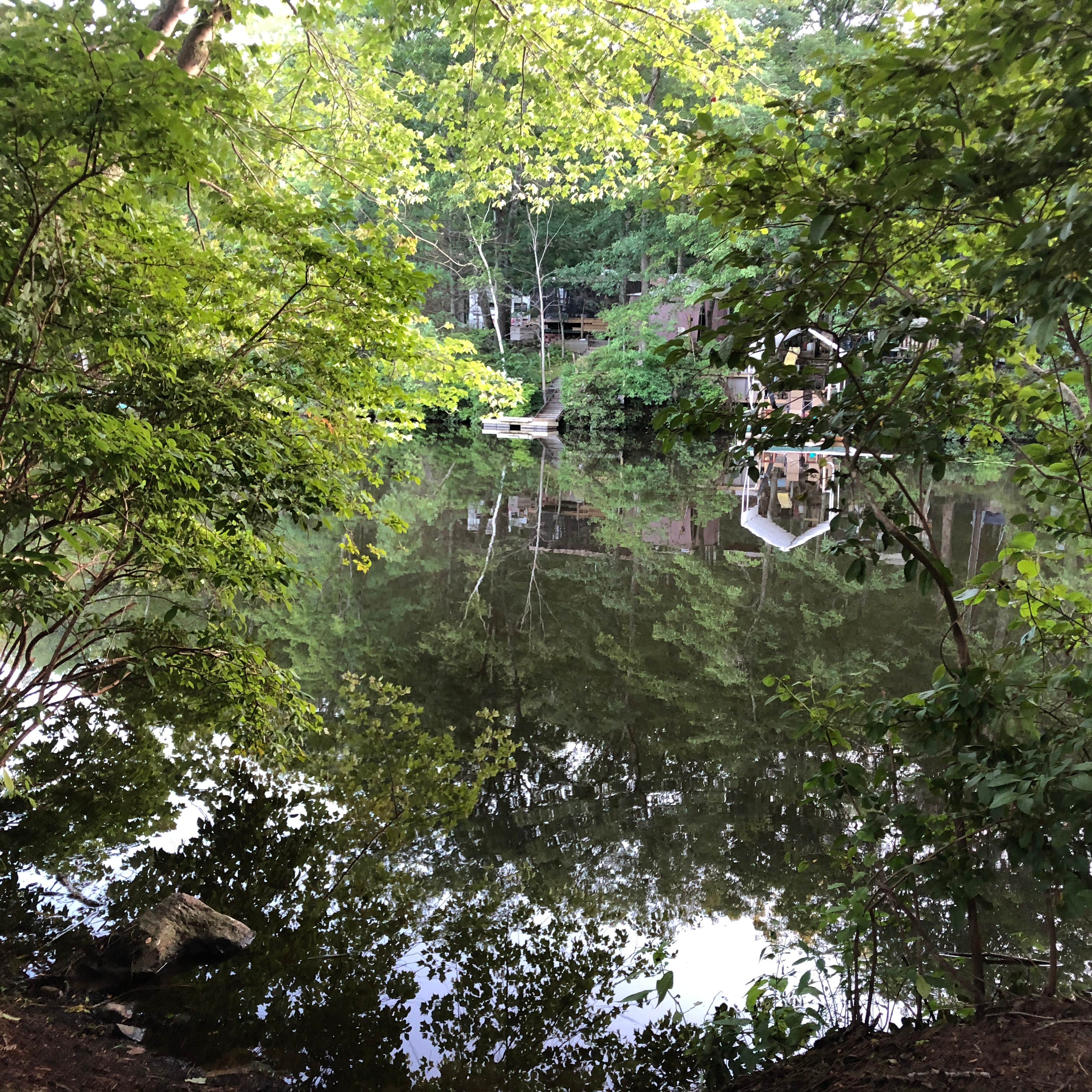 Sutton Falls Camping Area | Manchaug, Massachusetts