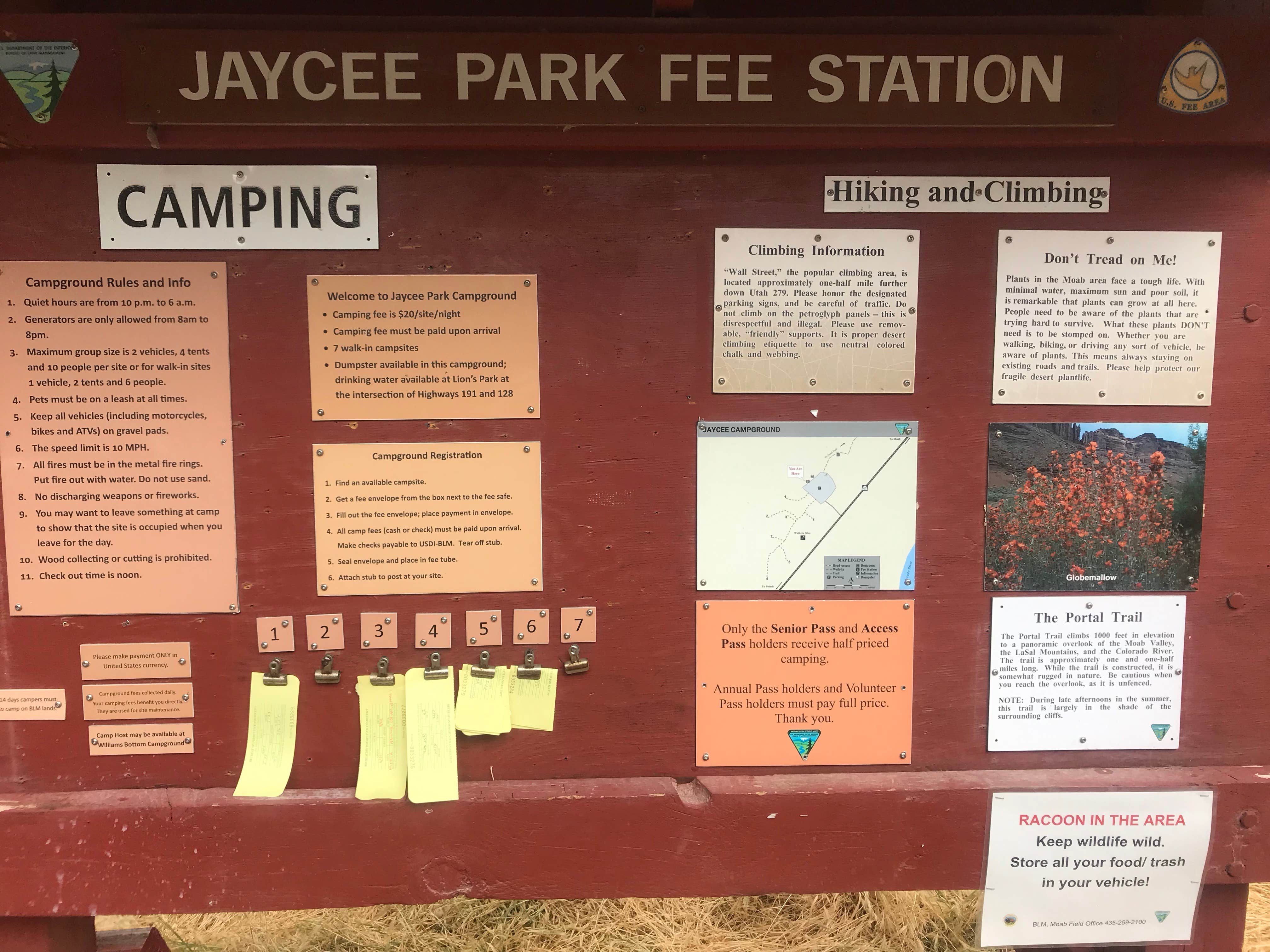 Jaycee Park Campground | The Dyrt