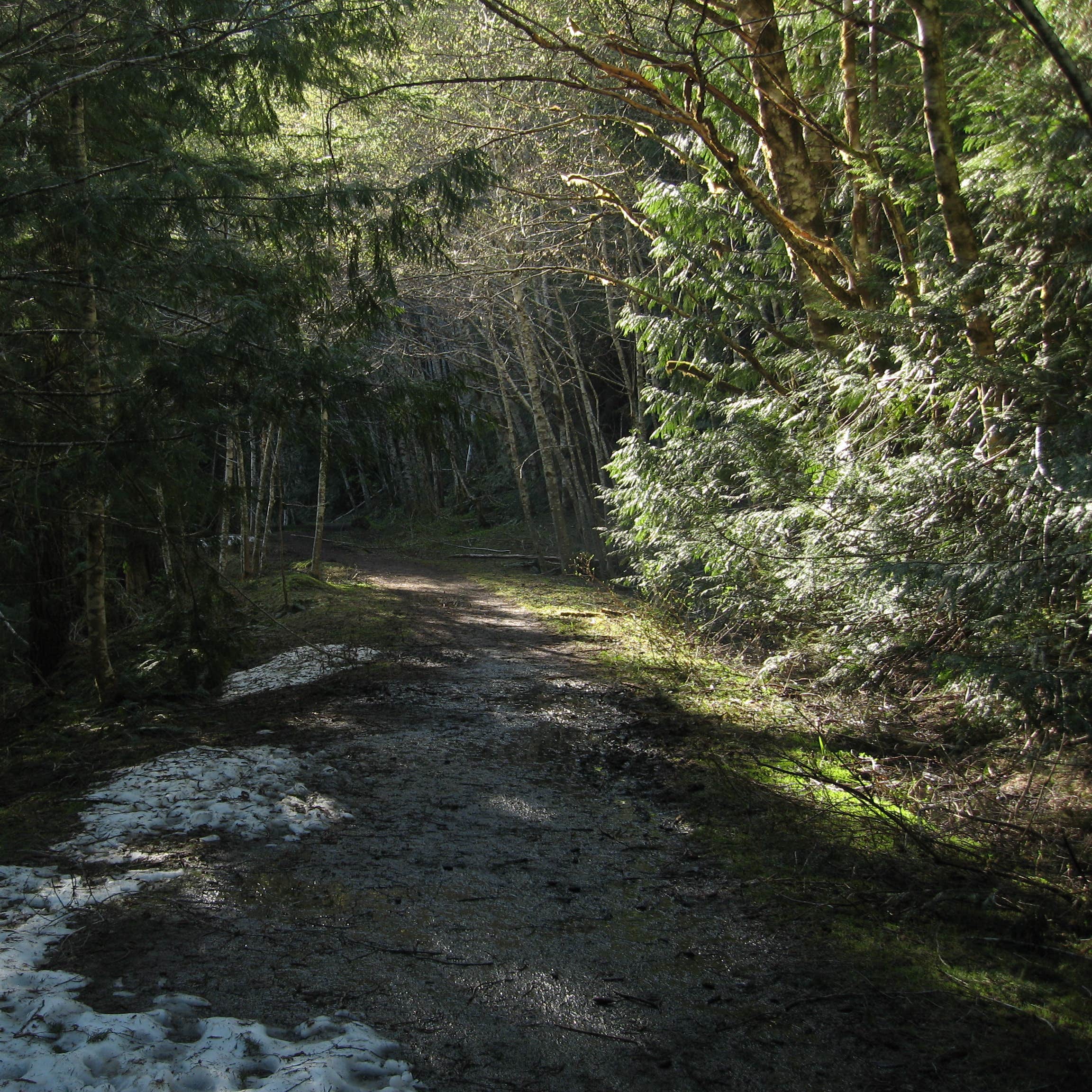 Sol Duc Hot Springs Resort Campground Camping | The Dyrt