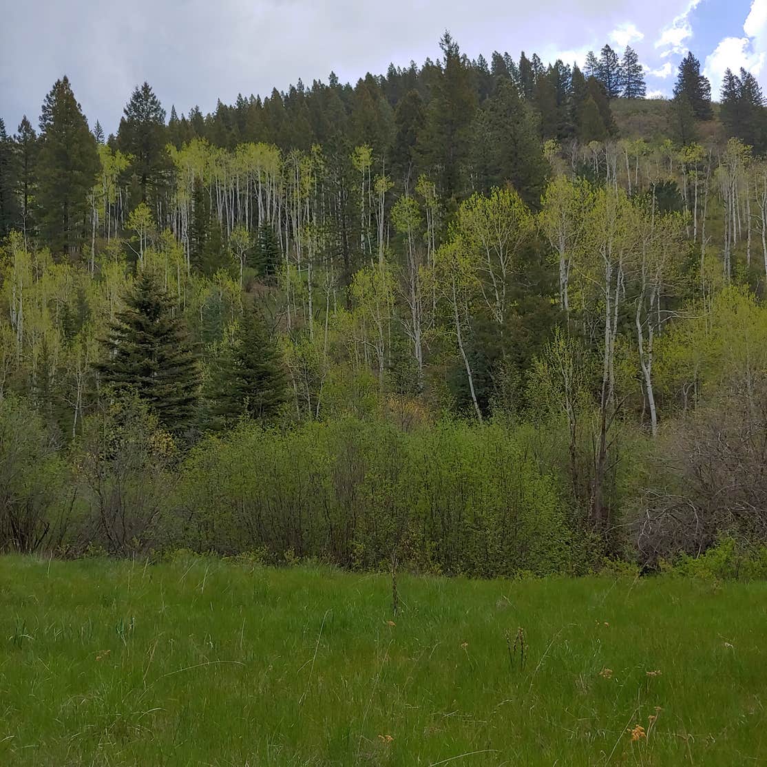 Holy Ghost Campground Camping | The Dyrt