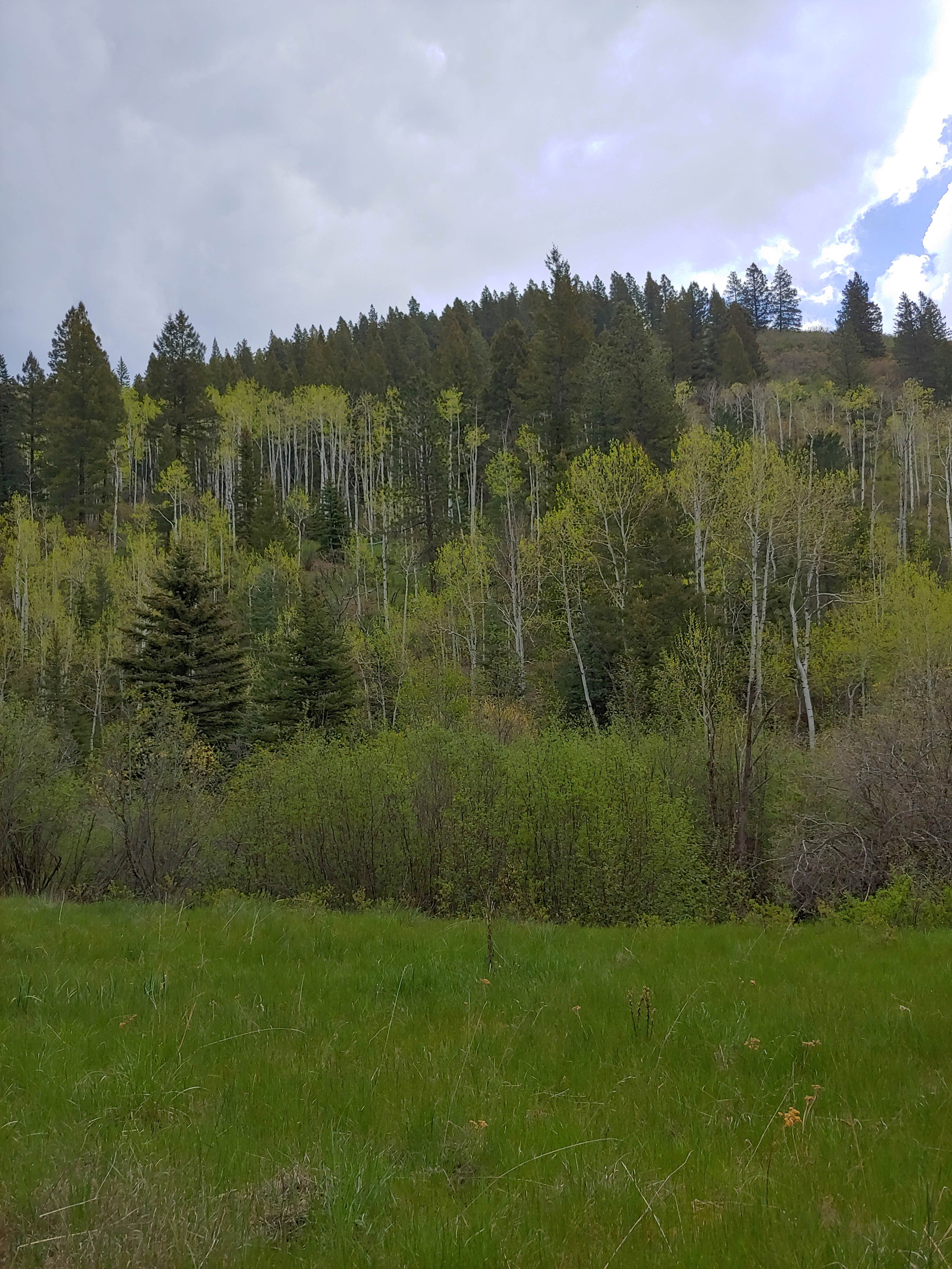 Holy Ghost Campground | Tererro, New Mexico