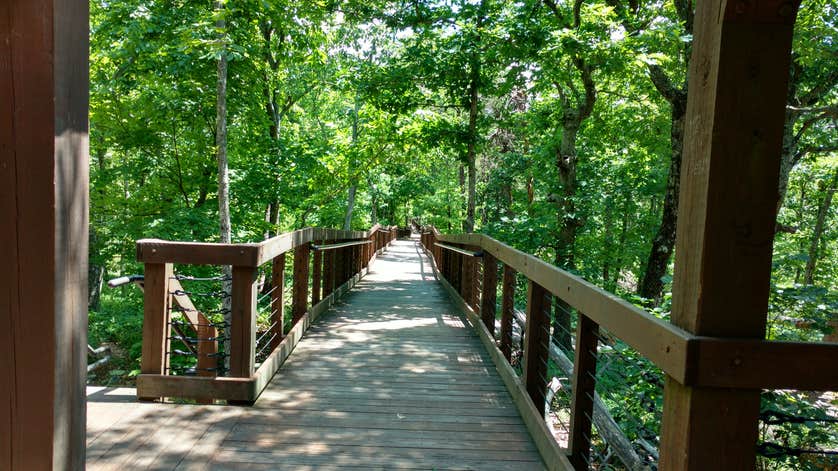 Cheaha State Park Camping | The Dyrt