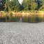 Bogue Chitto State Park Camping | The Dyrt