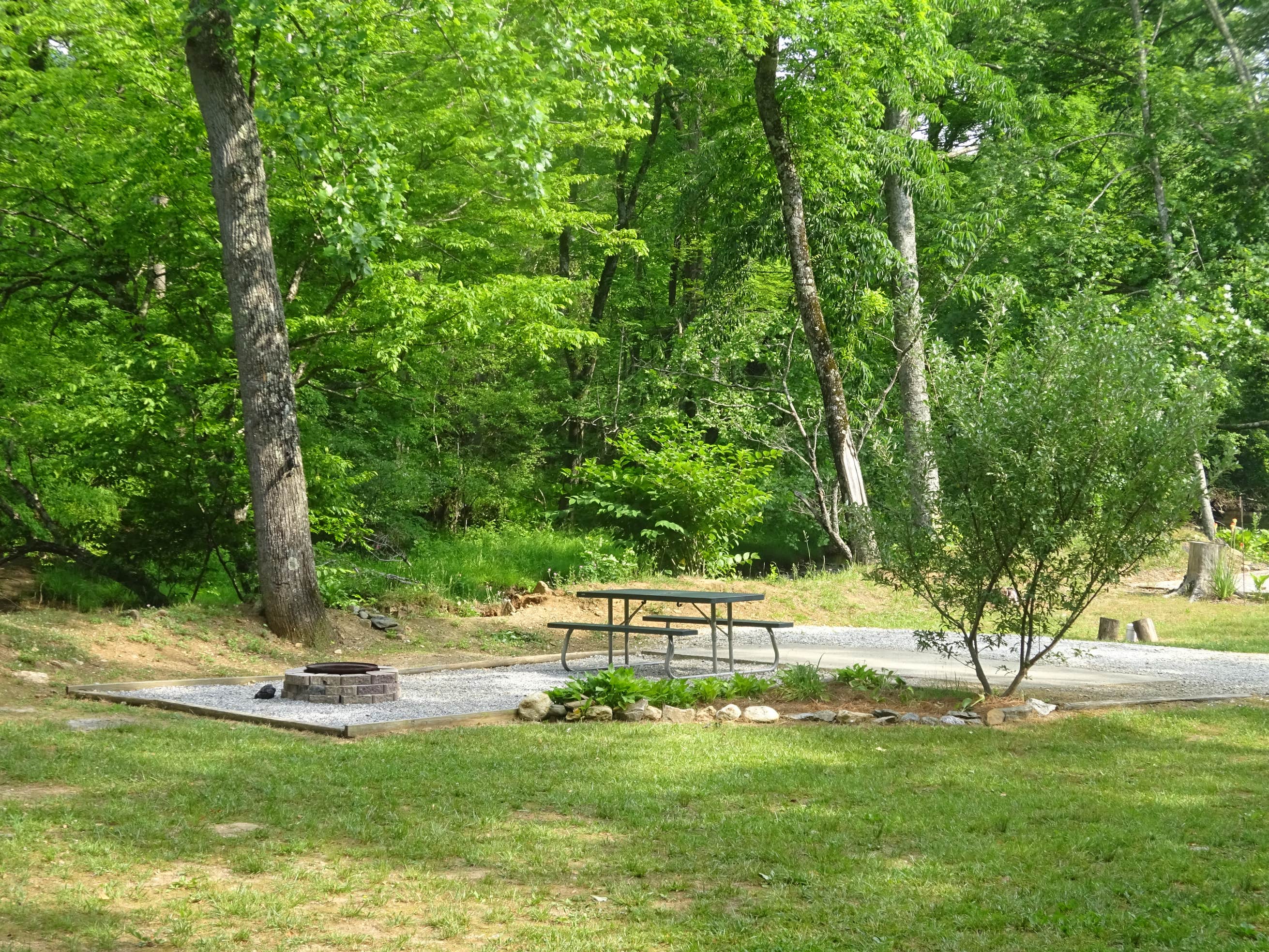 Mountain River Family Campground Camping | The Dyrt