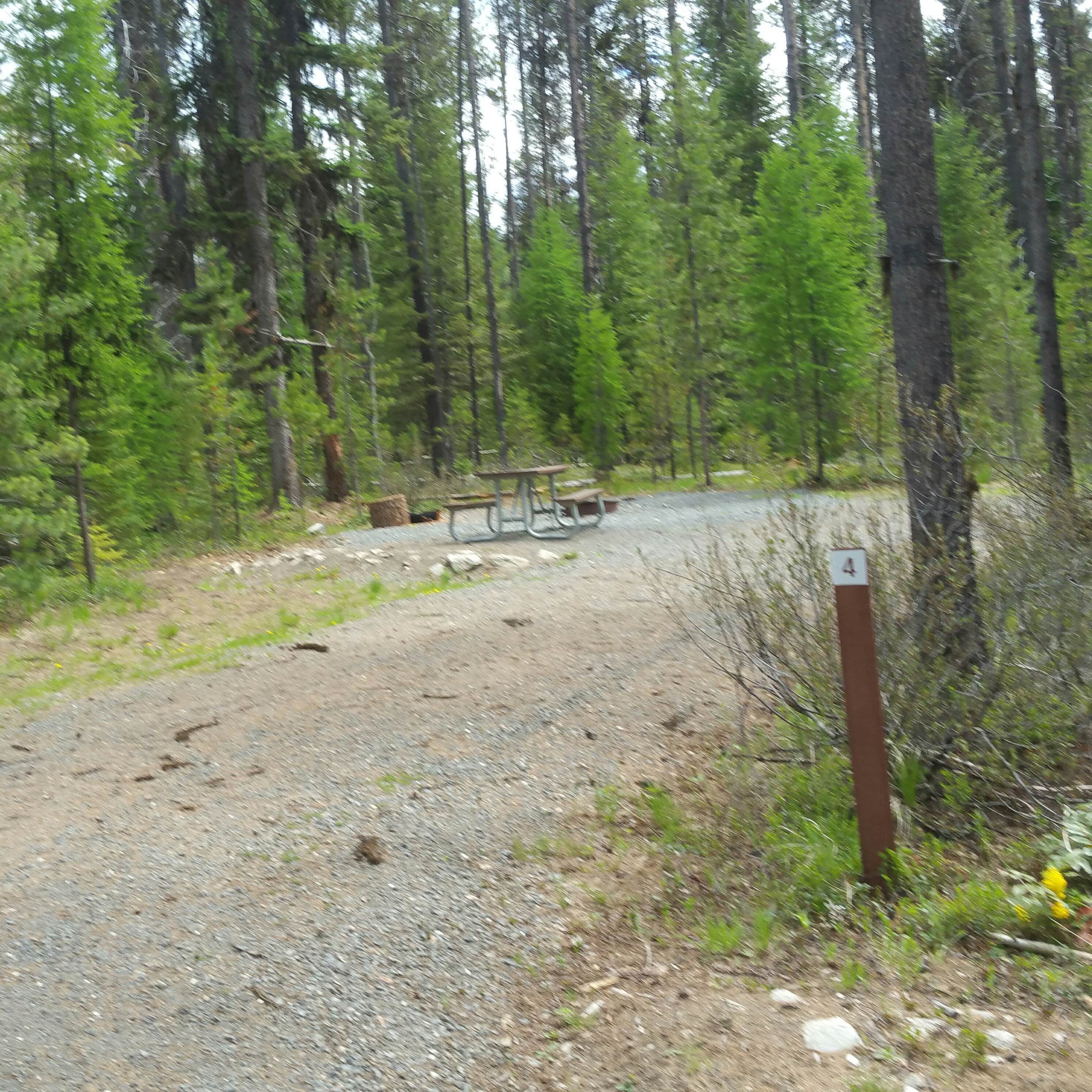 Sherry Creek Campground Camping | The Dyrt