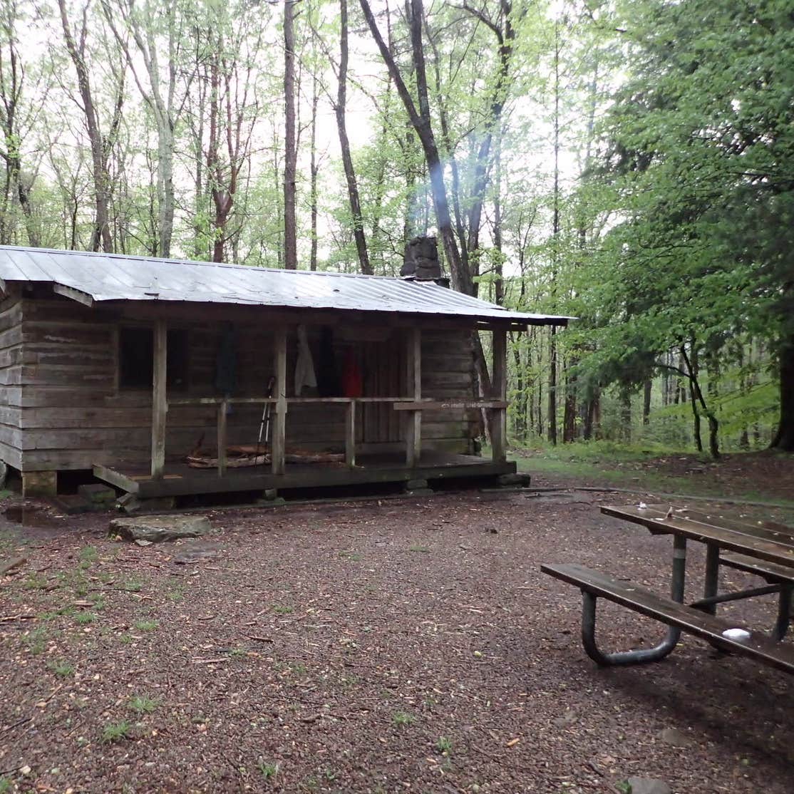 Hobbs Cabin Campground — Savage Gulf State Park | Beersheba Springs, TN