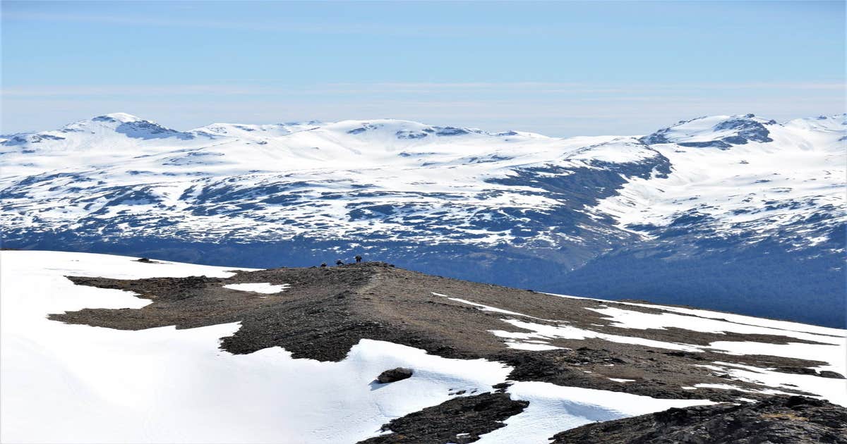 Camper-Submitted Photos of Tutka 1