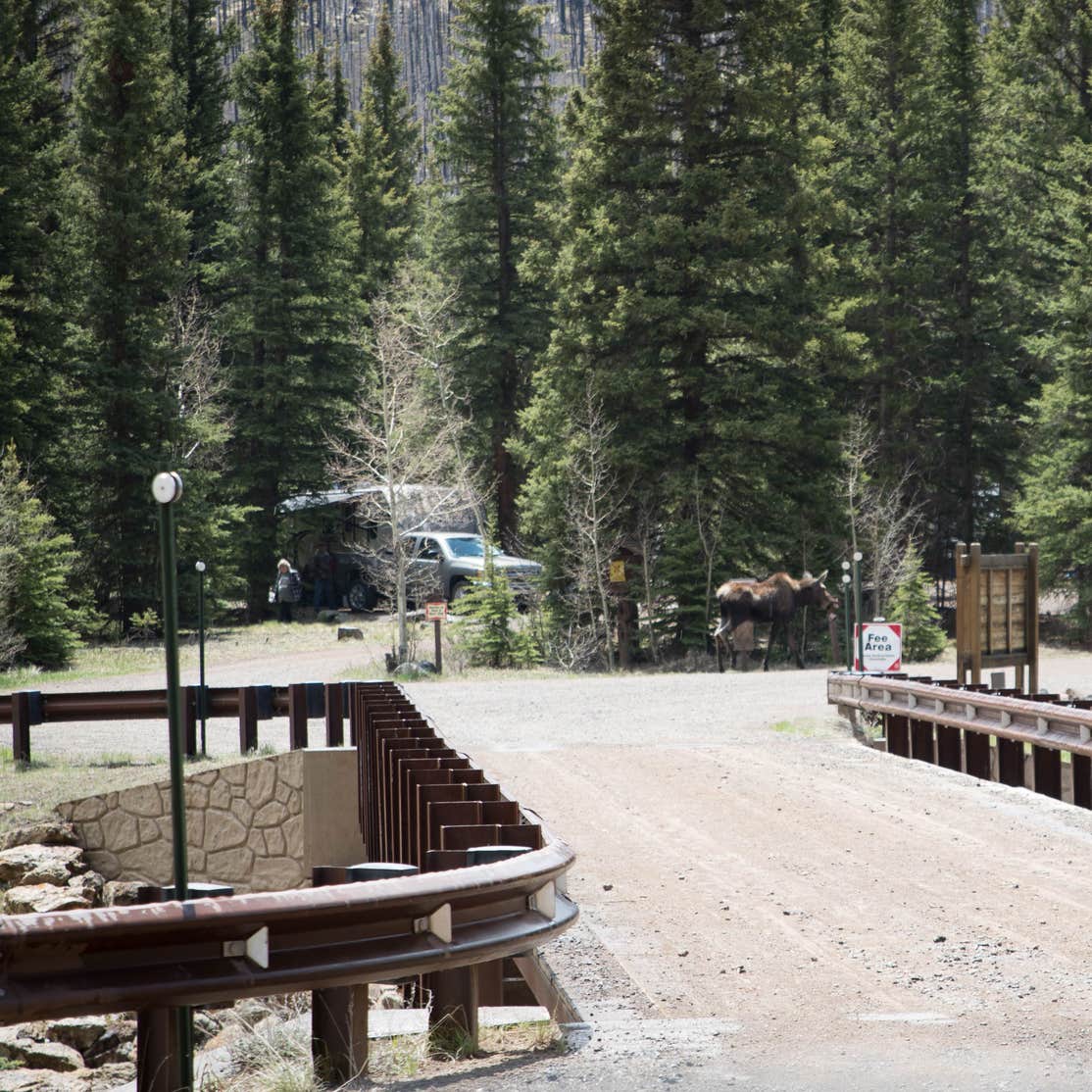 Thirty Mile Camping | City of Creede, Colorado