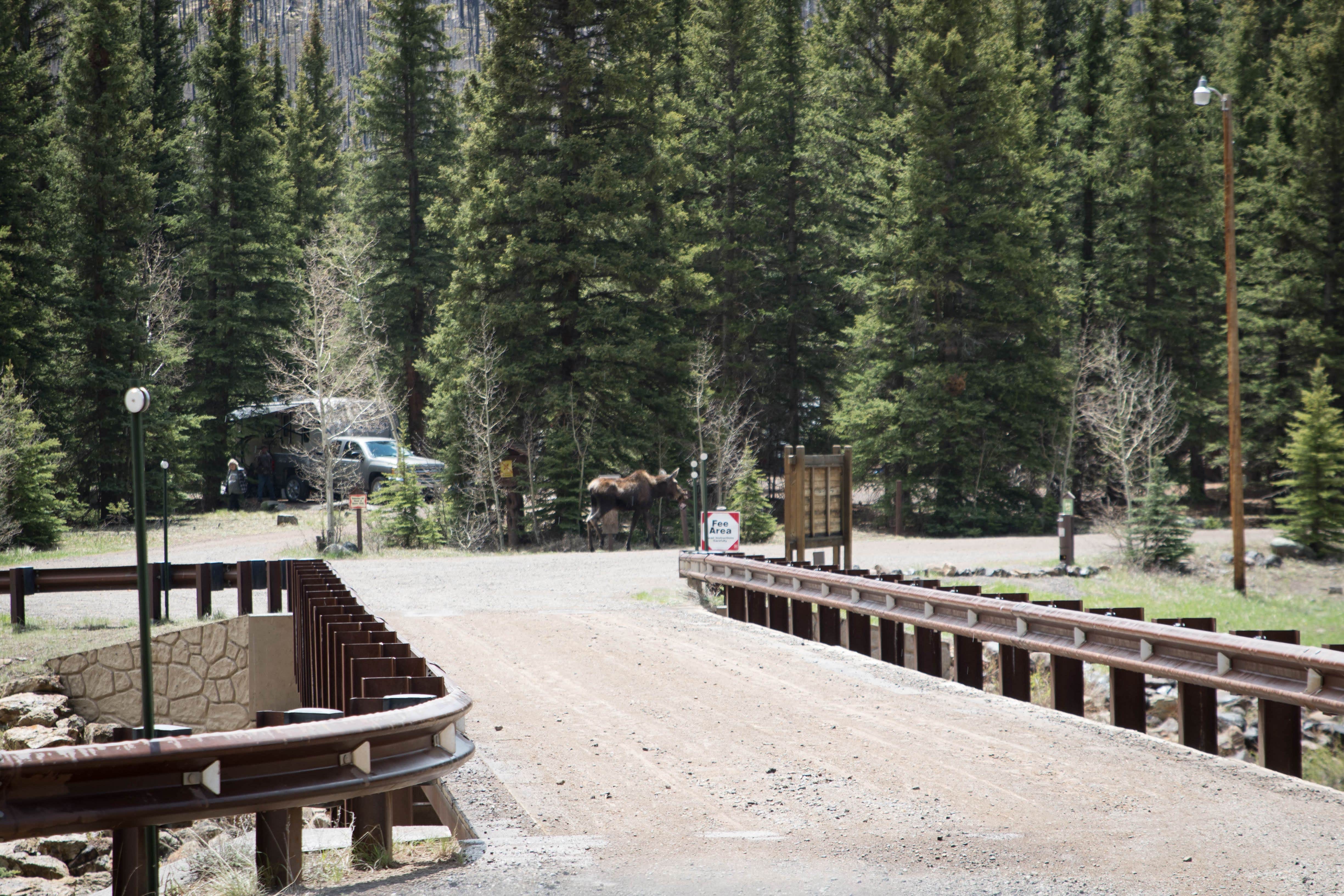 Thirty Mile Camping | City of Creede, Colorado