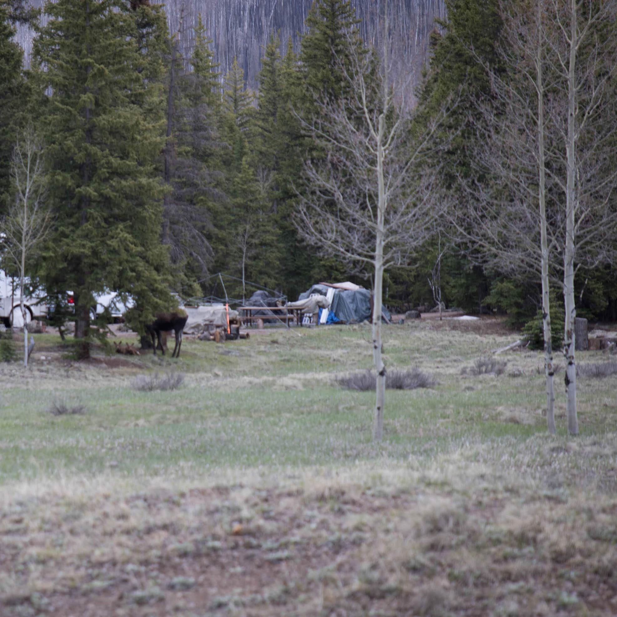 Thirty Mile Camping | The Dyrt