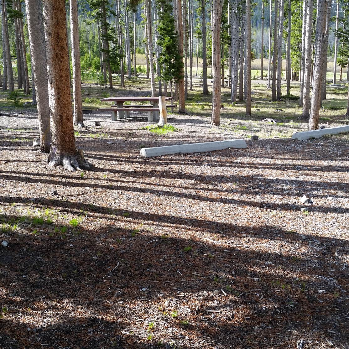 Lowland Campground Camping | The Dyrt