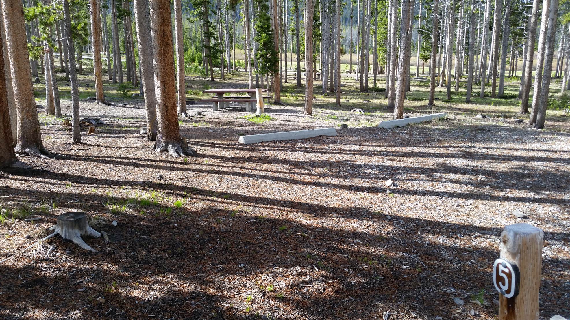 Lowland Campground Camping | The Dyrt