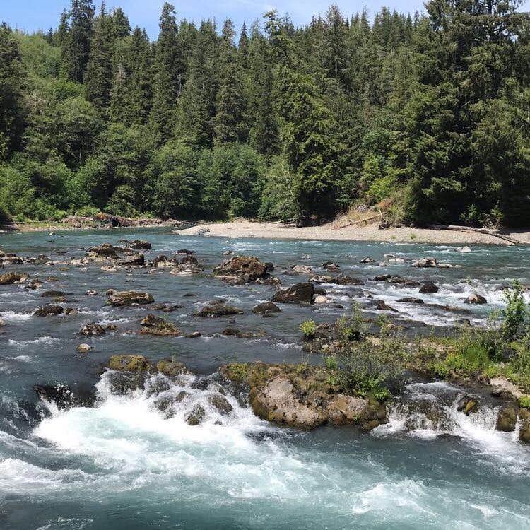 Hoh Oxbow Campground Camping | The Dyrt