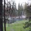 Pringle Falls Campground | La Pine, Oregon