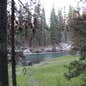Pringle Falls Campground | La Pine, Oregon