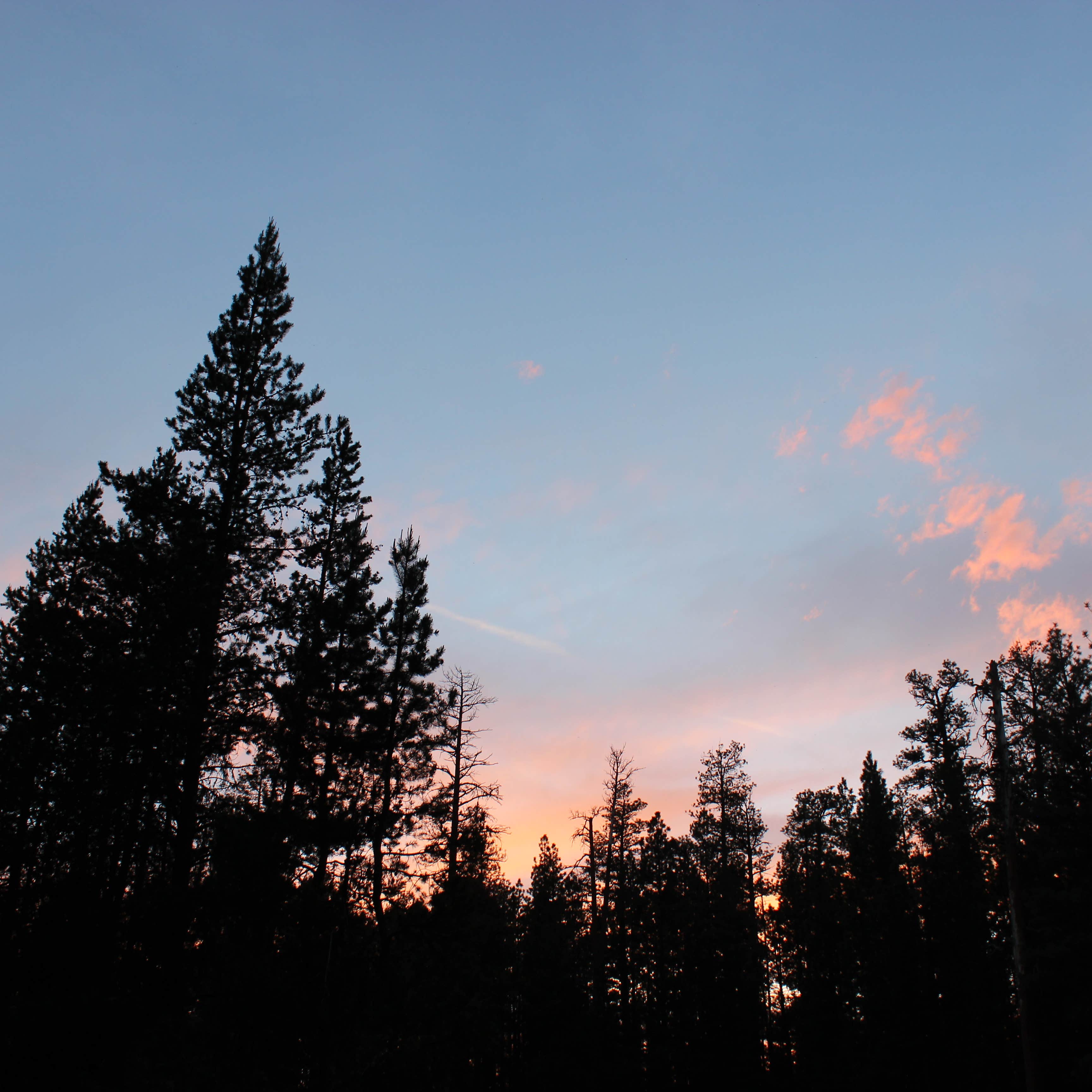 Pringle Falls Campground | La Pine, Oregon