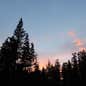 Pringle Falls Campground | La Pine, Oregon