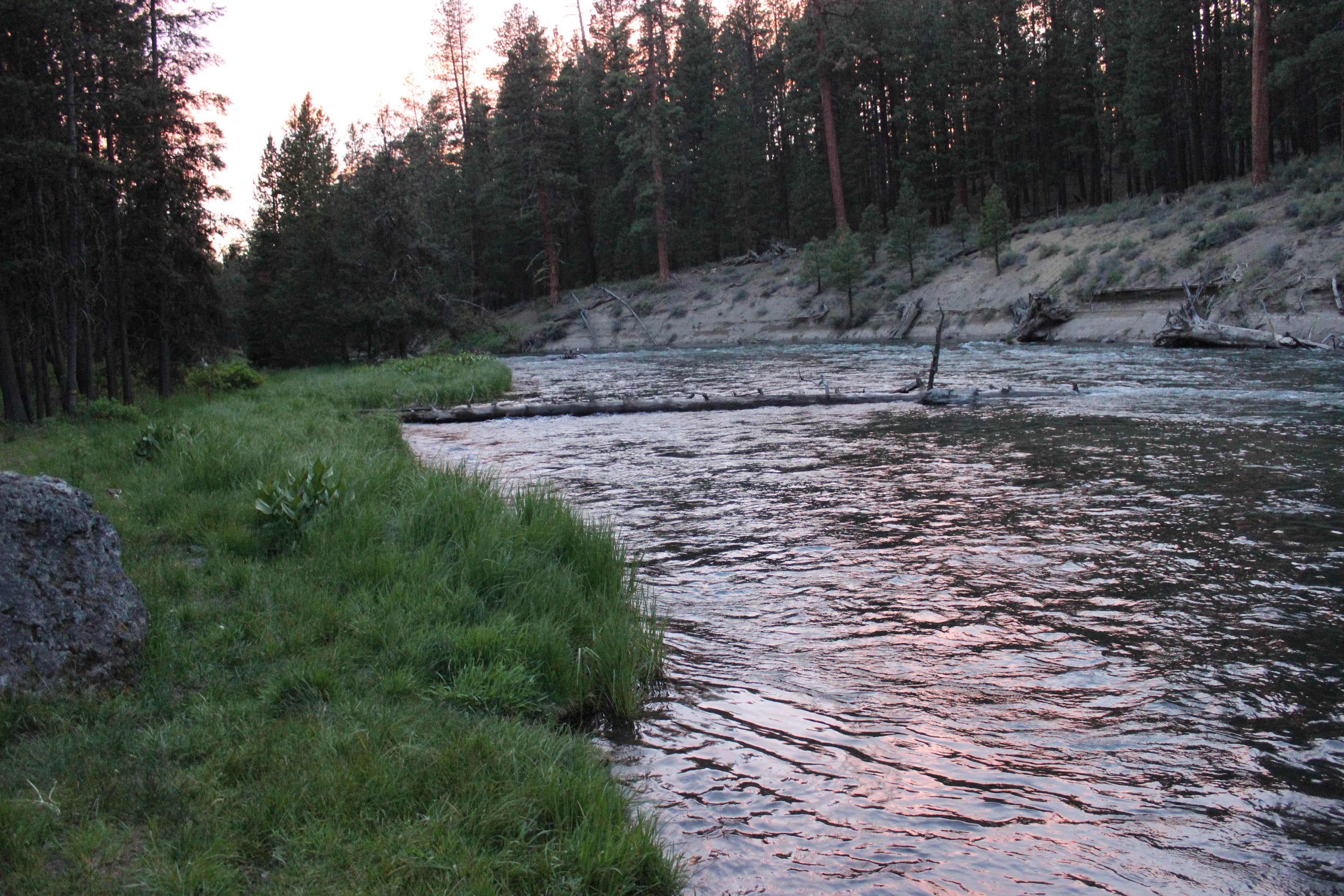 Pringle Falls Campground Camping | The Dyrt