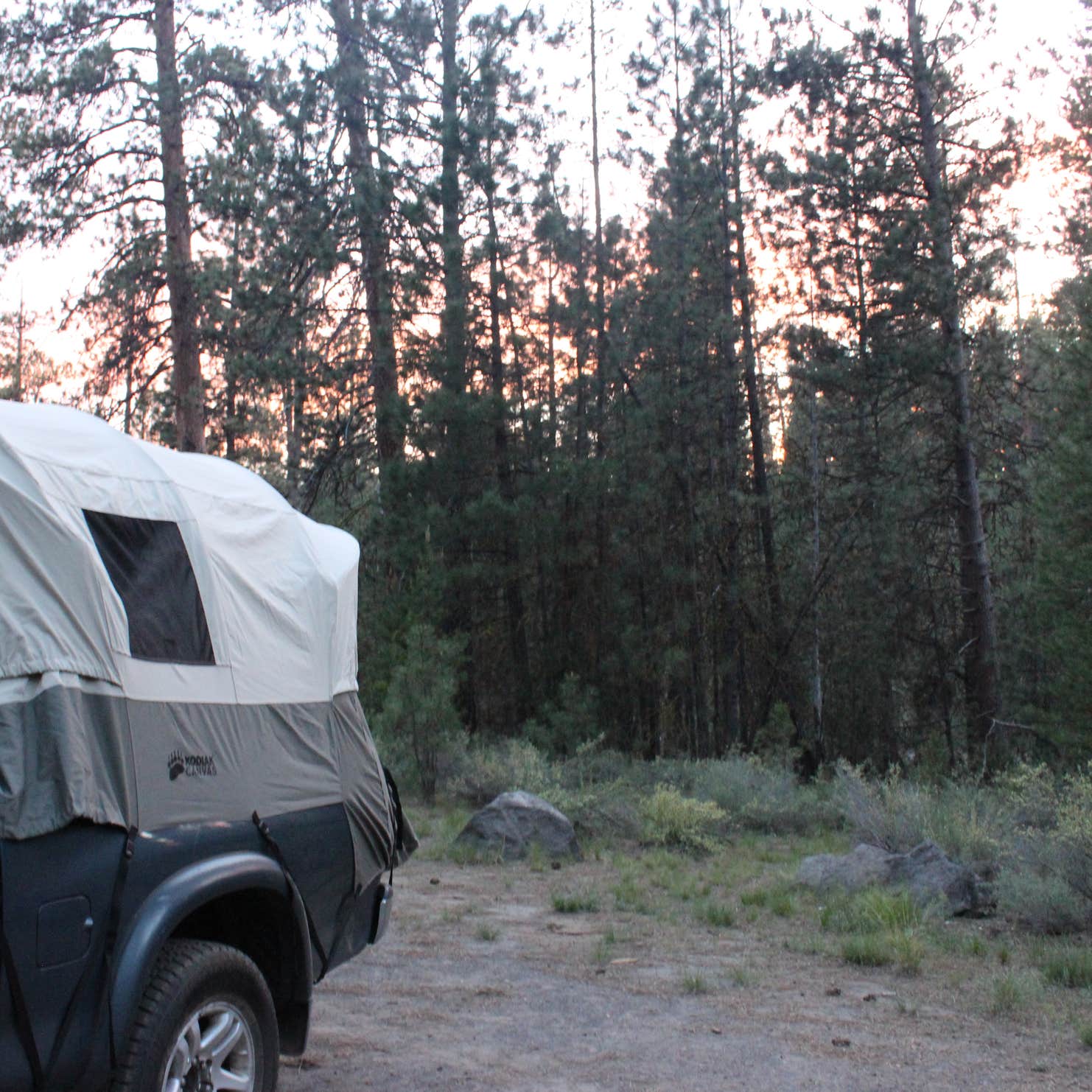 Pringle Falls Campground Camping | The Dyrt