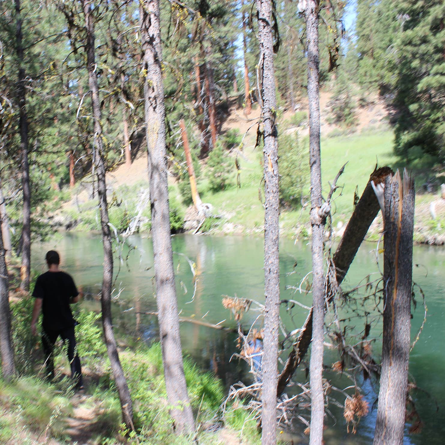 Pringle Falls Campground Camping | The Dyrt