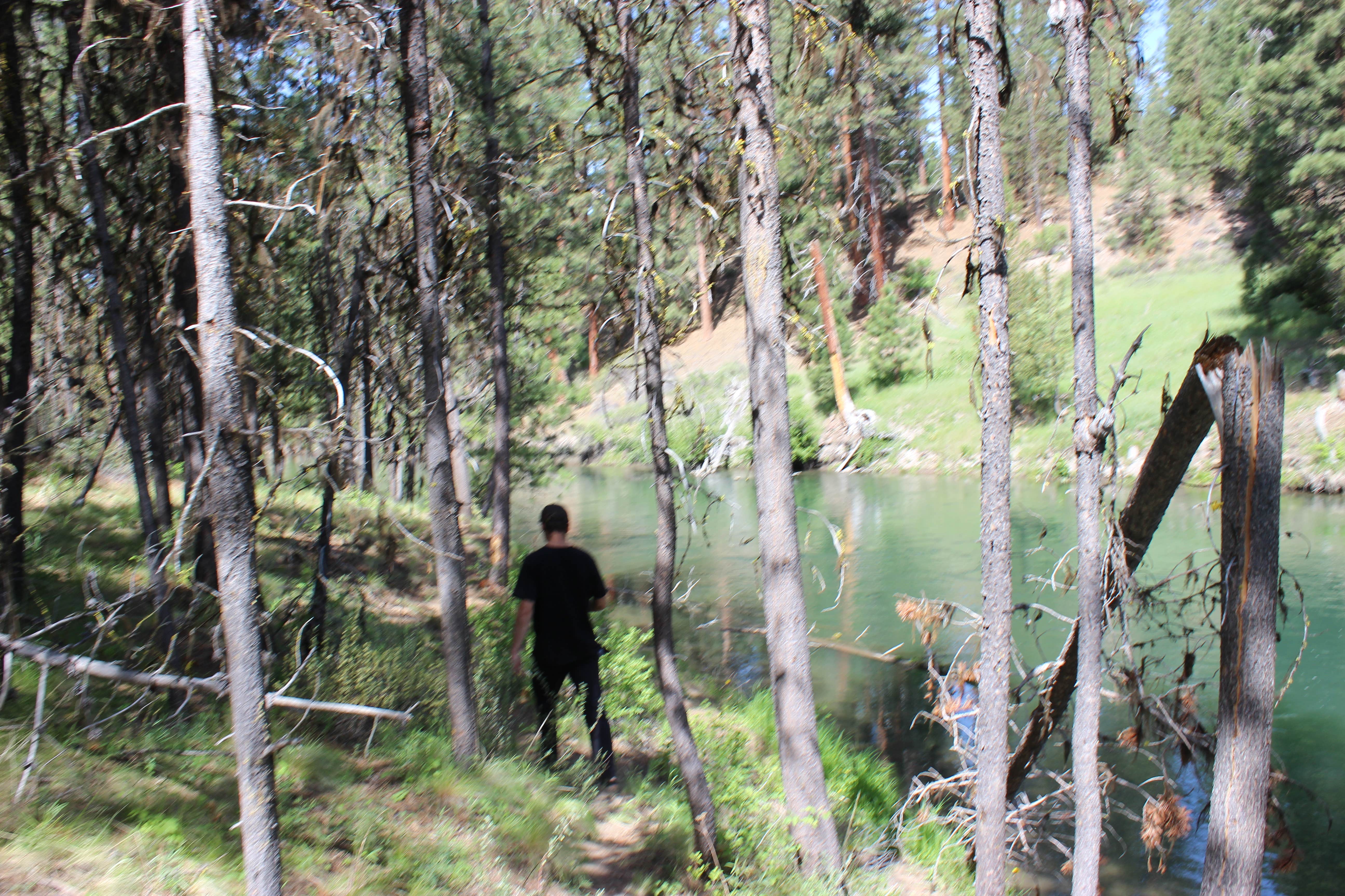 Pringle Falls Campground | La Pine, Oregon