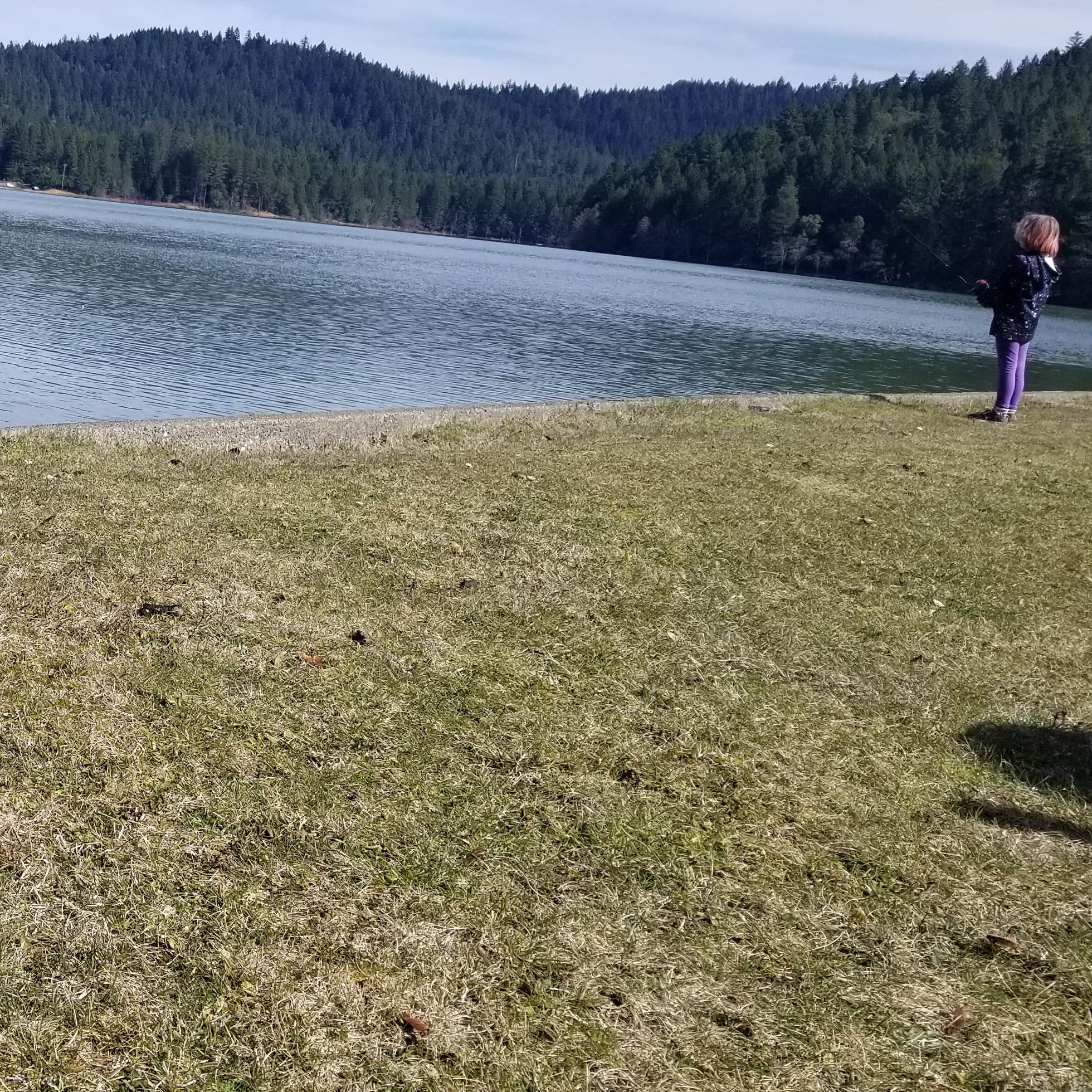 Lake Selmac County Park Camping | Selma, Oregon