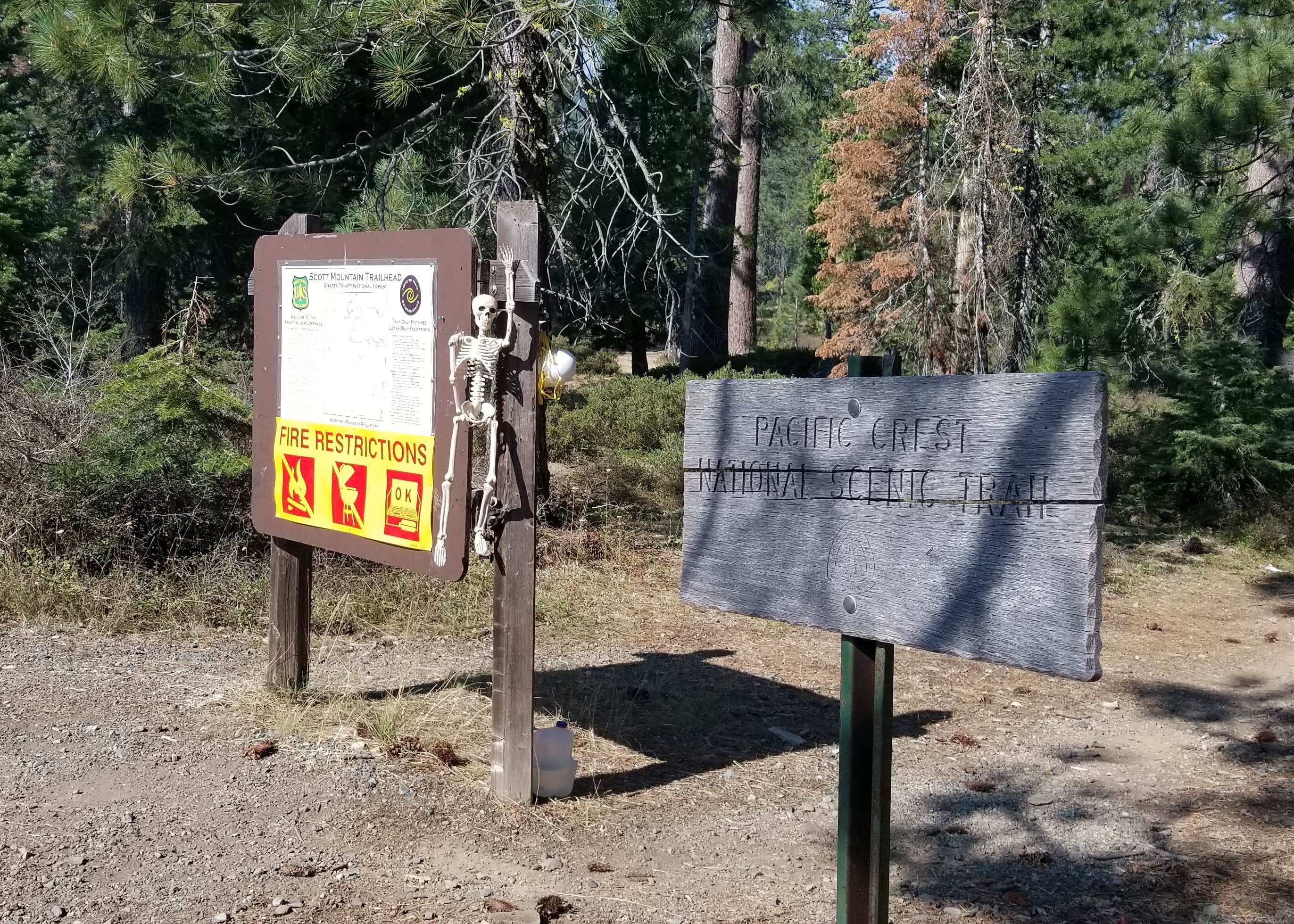 Scott Mountain Campground Camping | The Dyrt