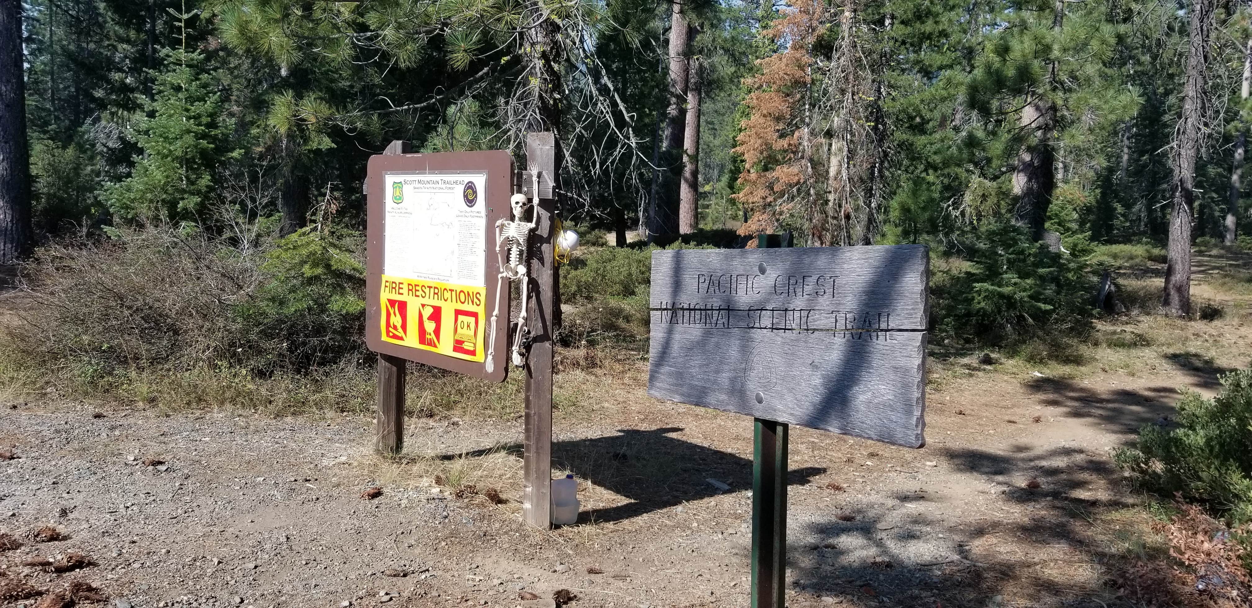 Scott Mountain Campground | Trinity Center, CA