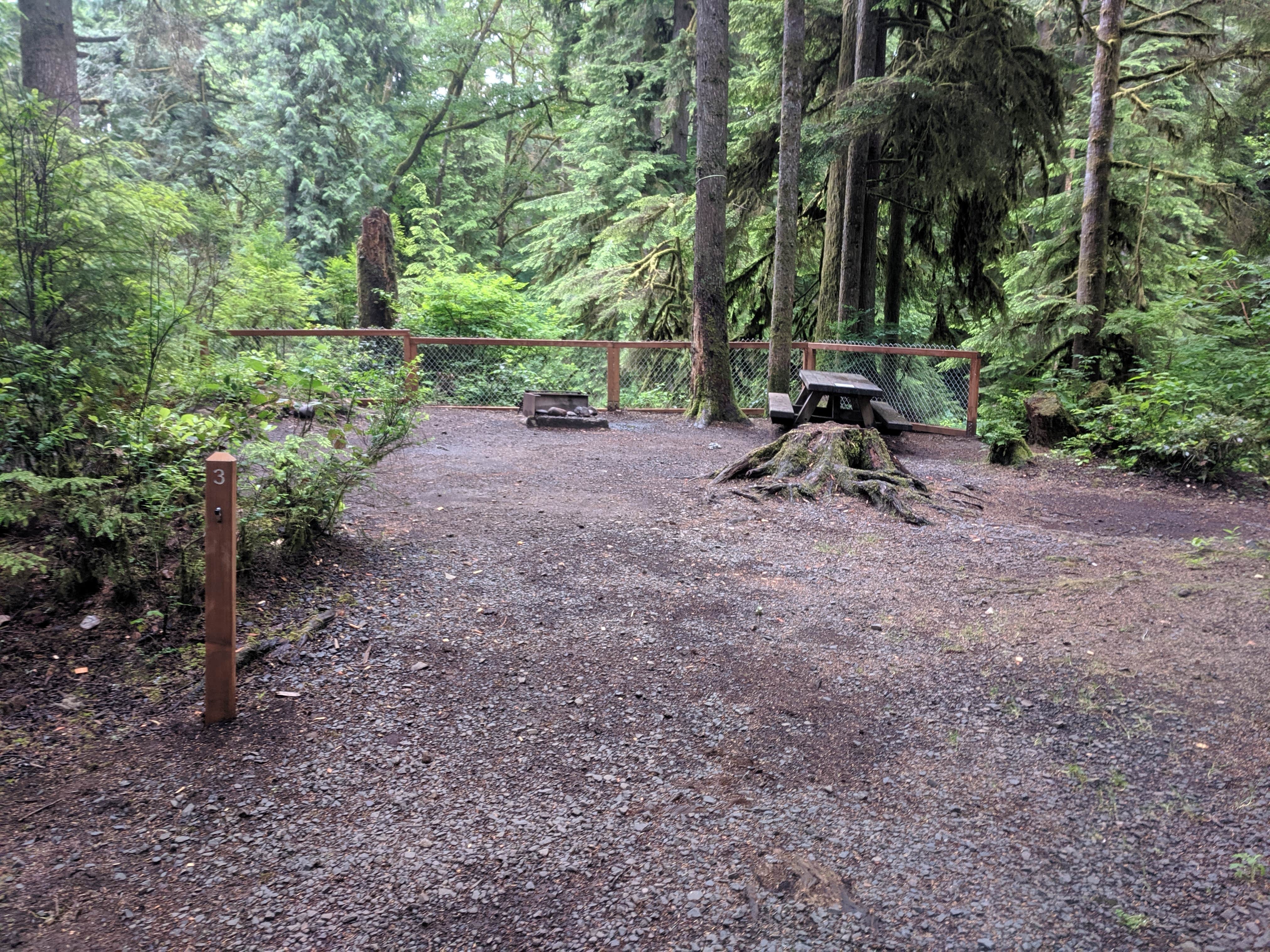 Clatsop State Forest Gnat Creek Campground | Astoria, OR