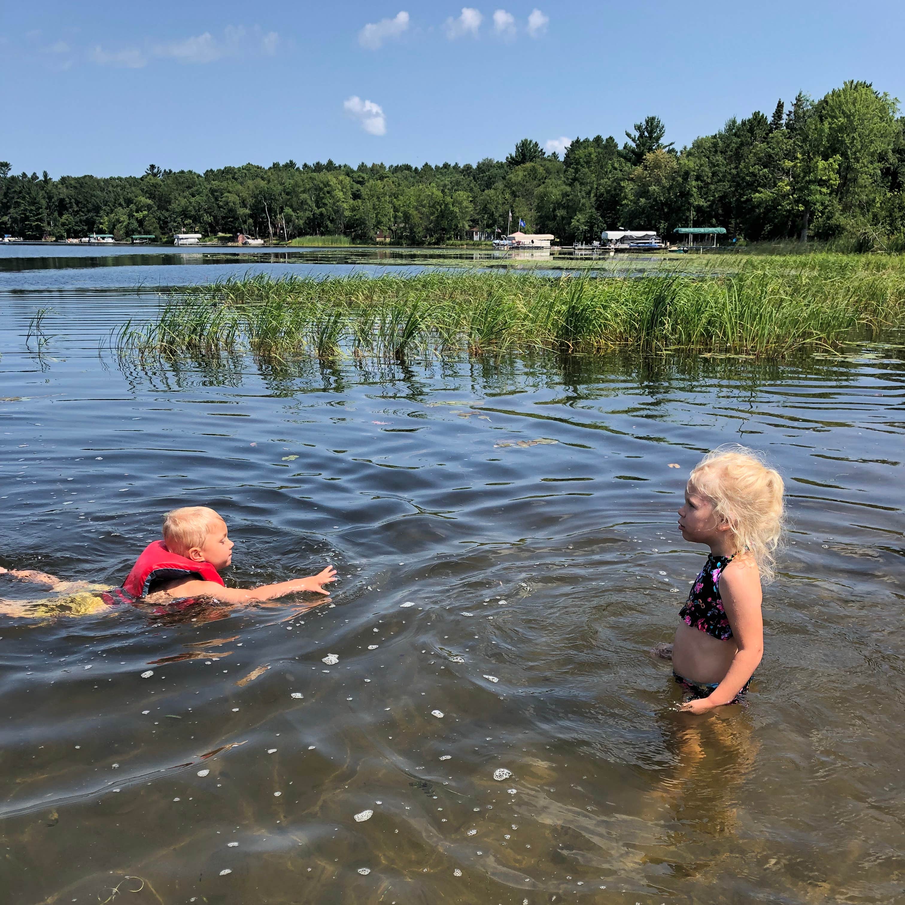 Greer Lake Camping | The Dyrt