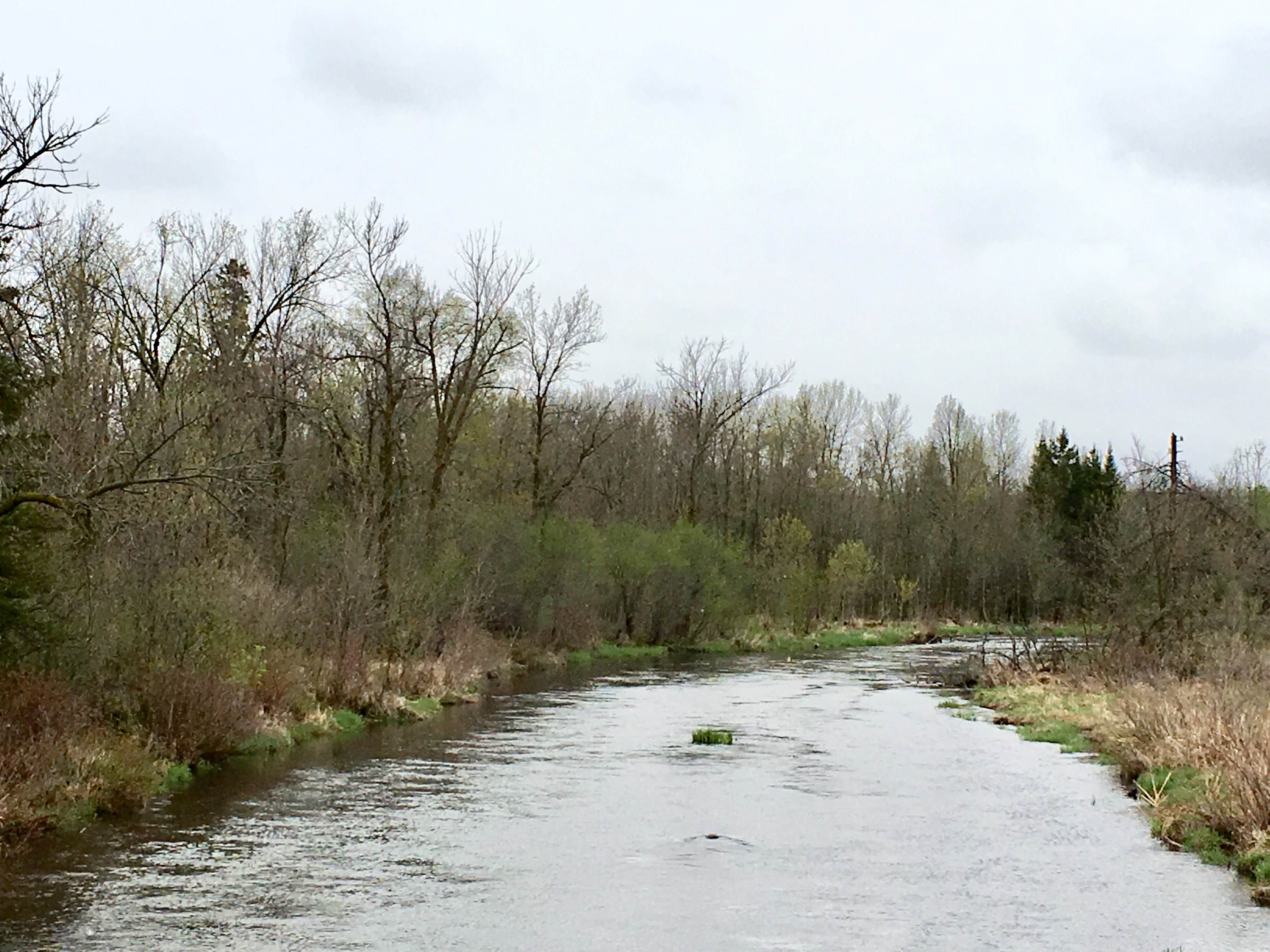 Bertha City Park Camping | Bertha, MN