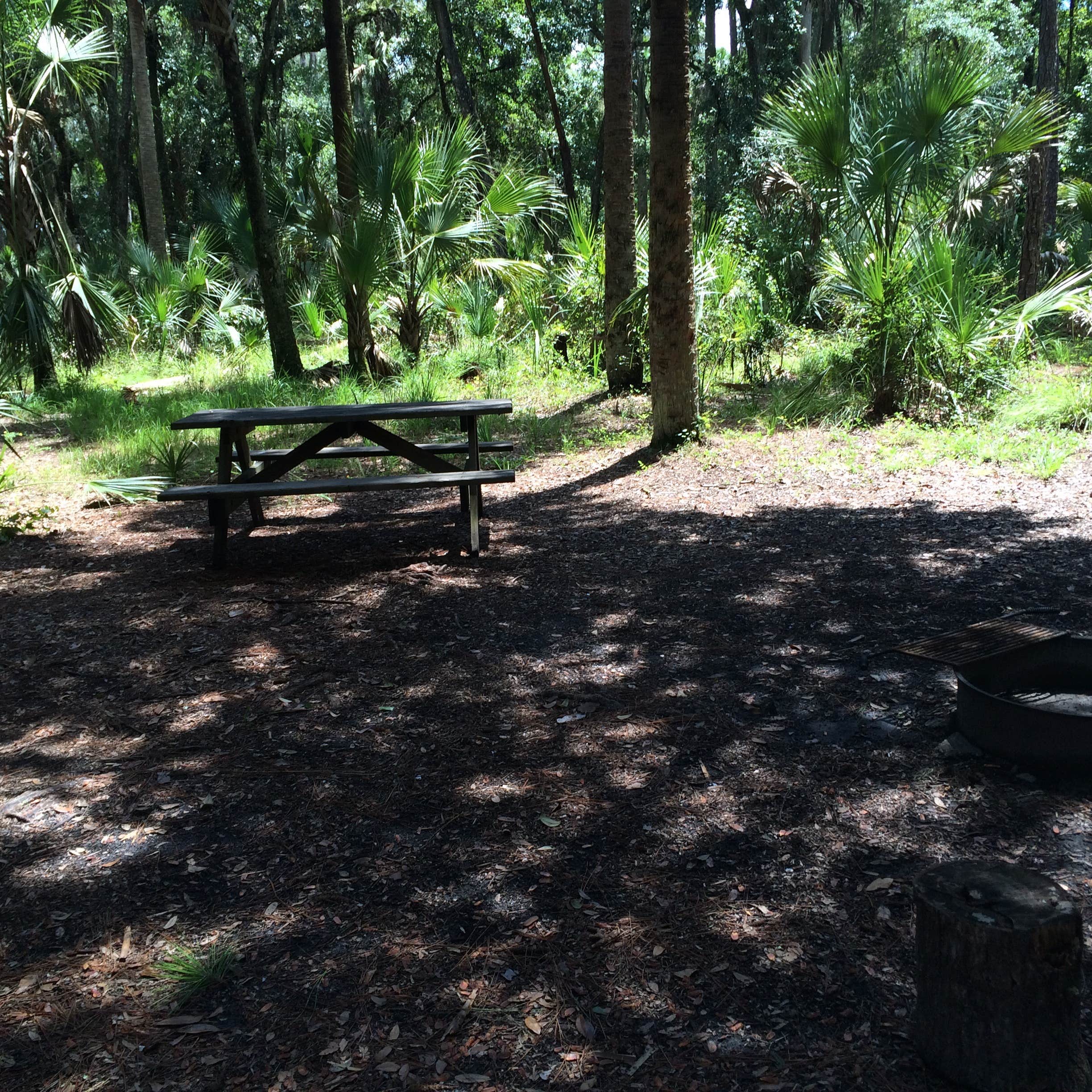 Hontoon Island State Park Camping | The Dyrt