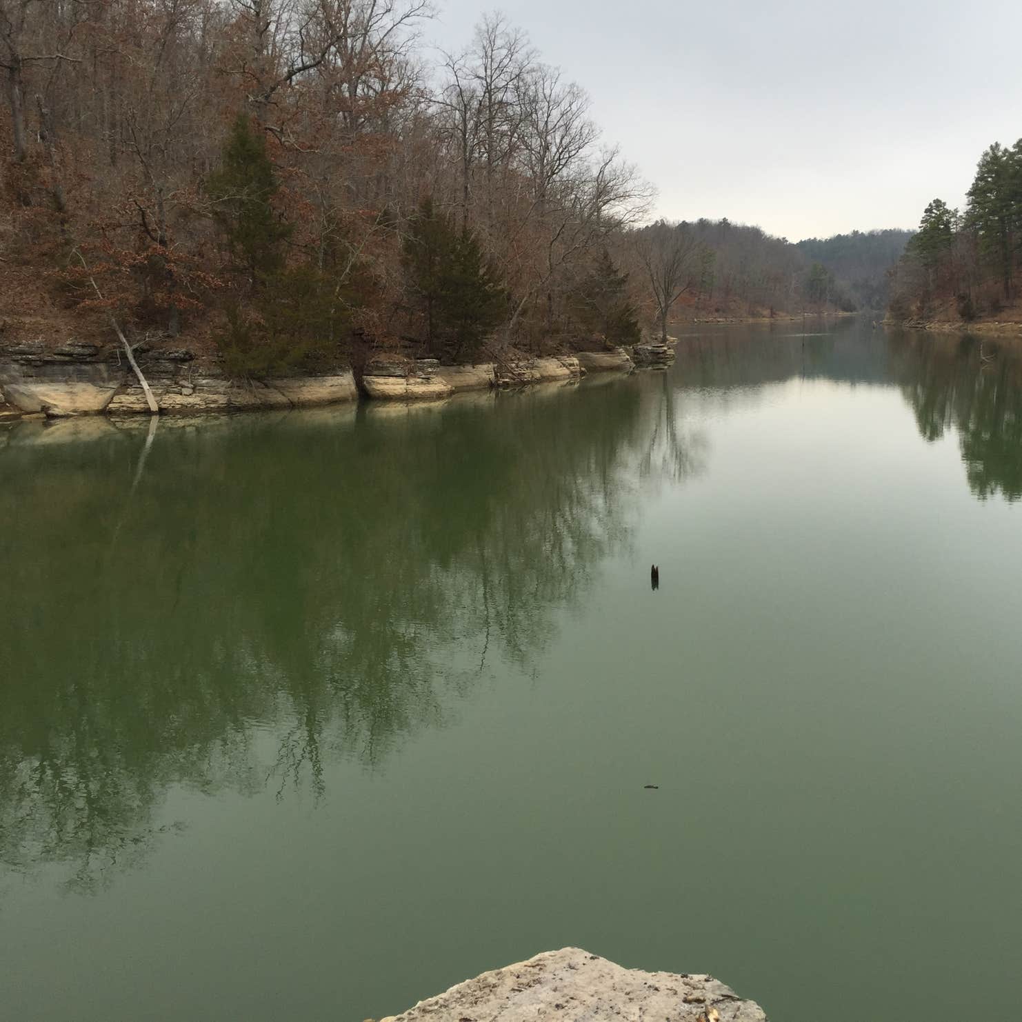 Dam Site River - Beaver Lake Camping | The Dyrt