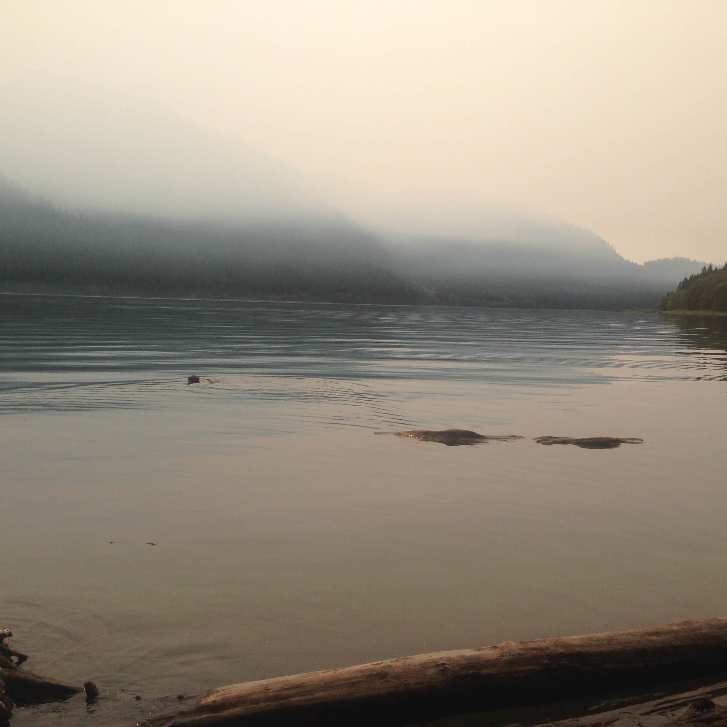 Panorama Point Campground Camping | The Dyrt