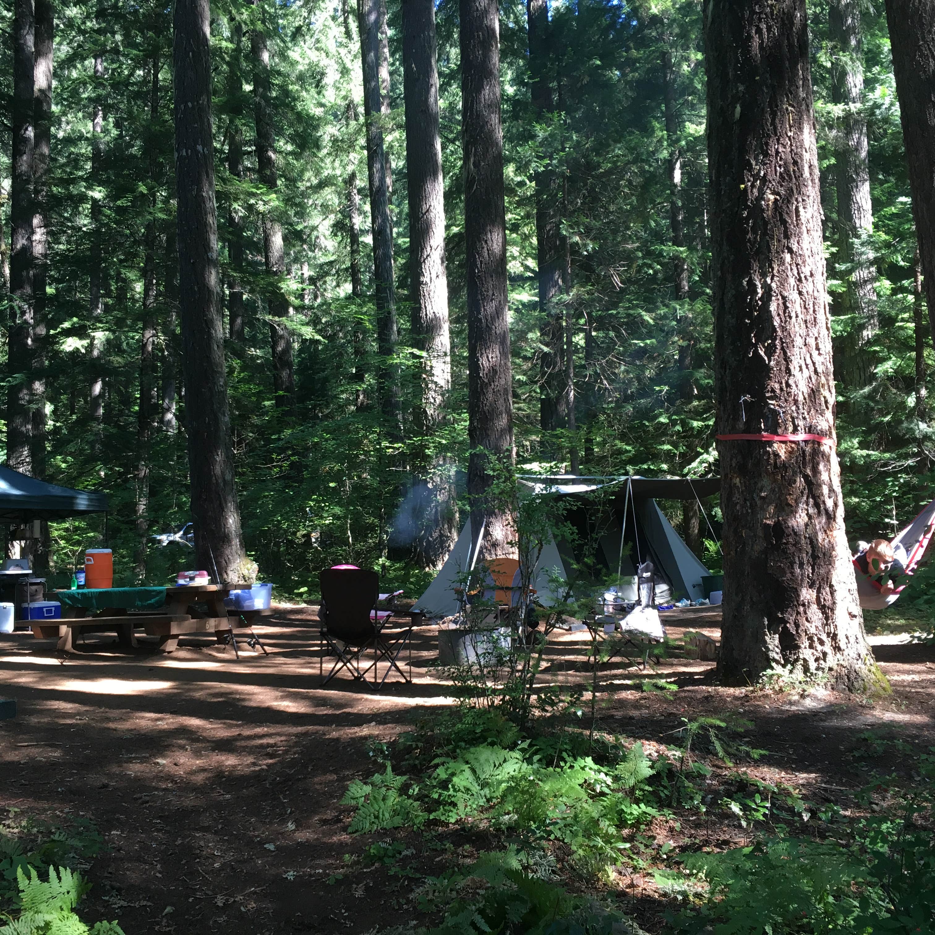 Trail Bridge Campground | Willamette National Forest, Oregon