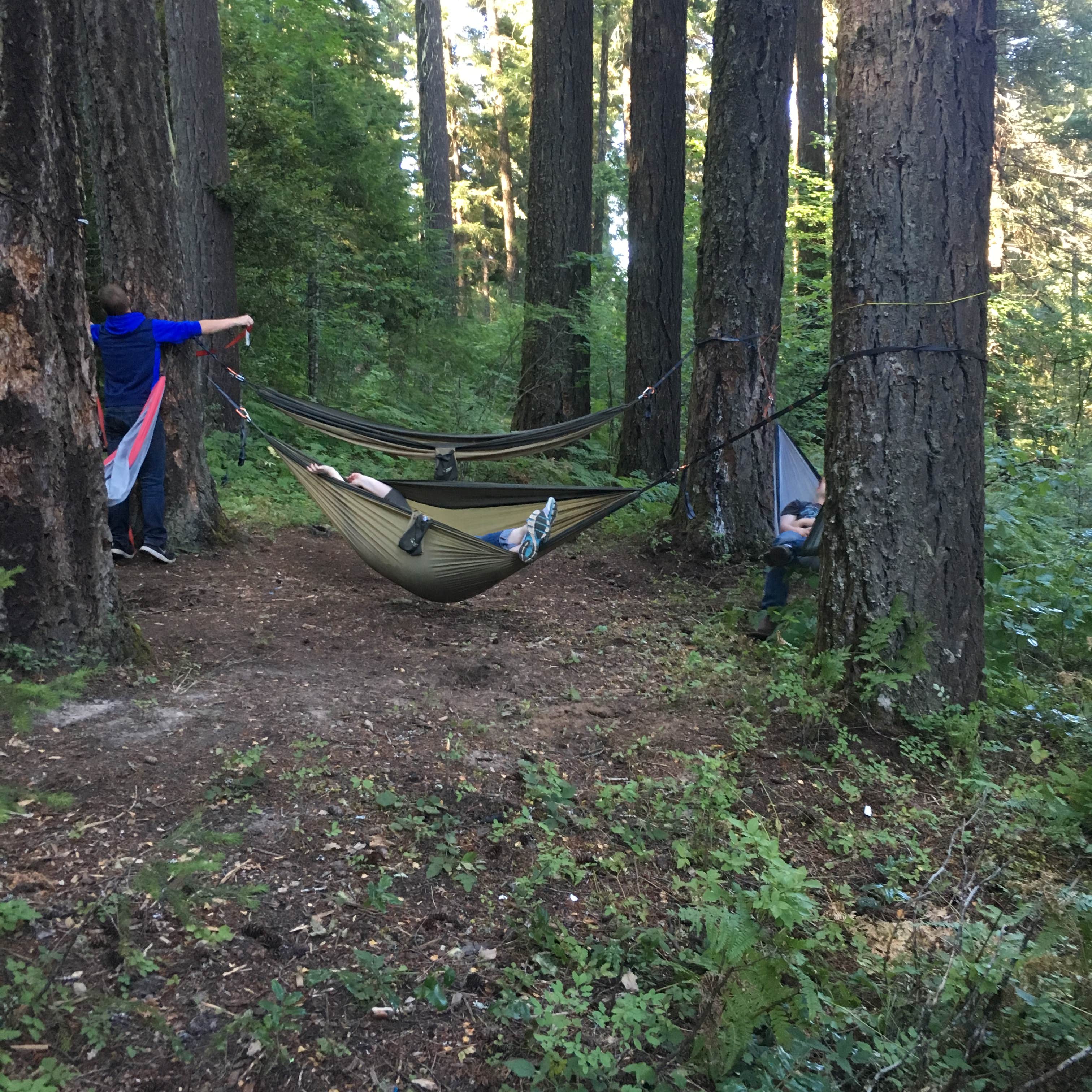 Trail Bridge Campground Camping | The Dyrt