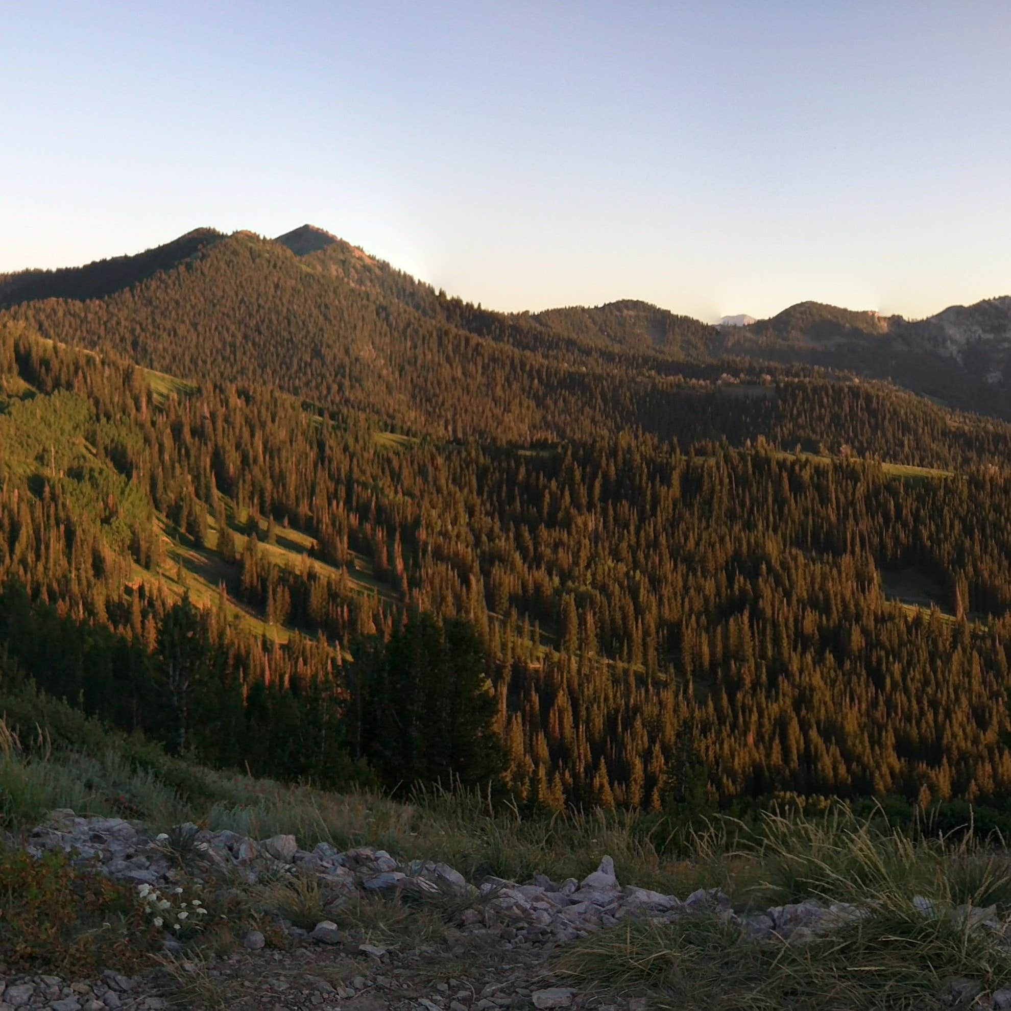 Redman Campground Camping | The Dyrt