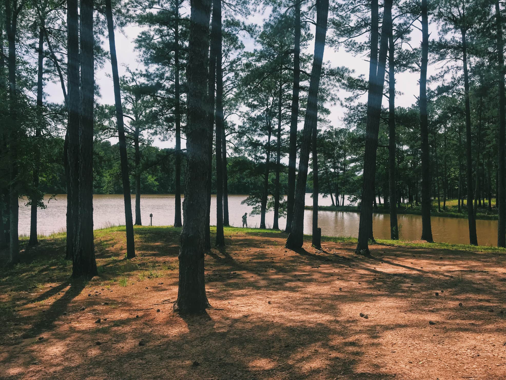 Indian Springs State Park | The Dyrt