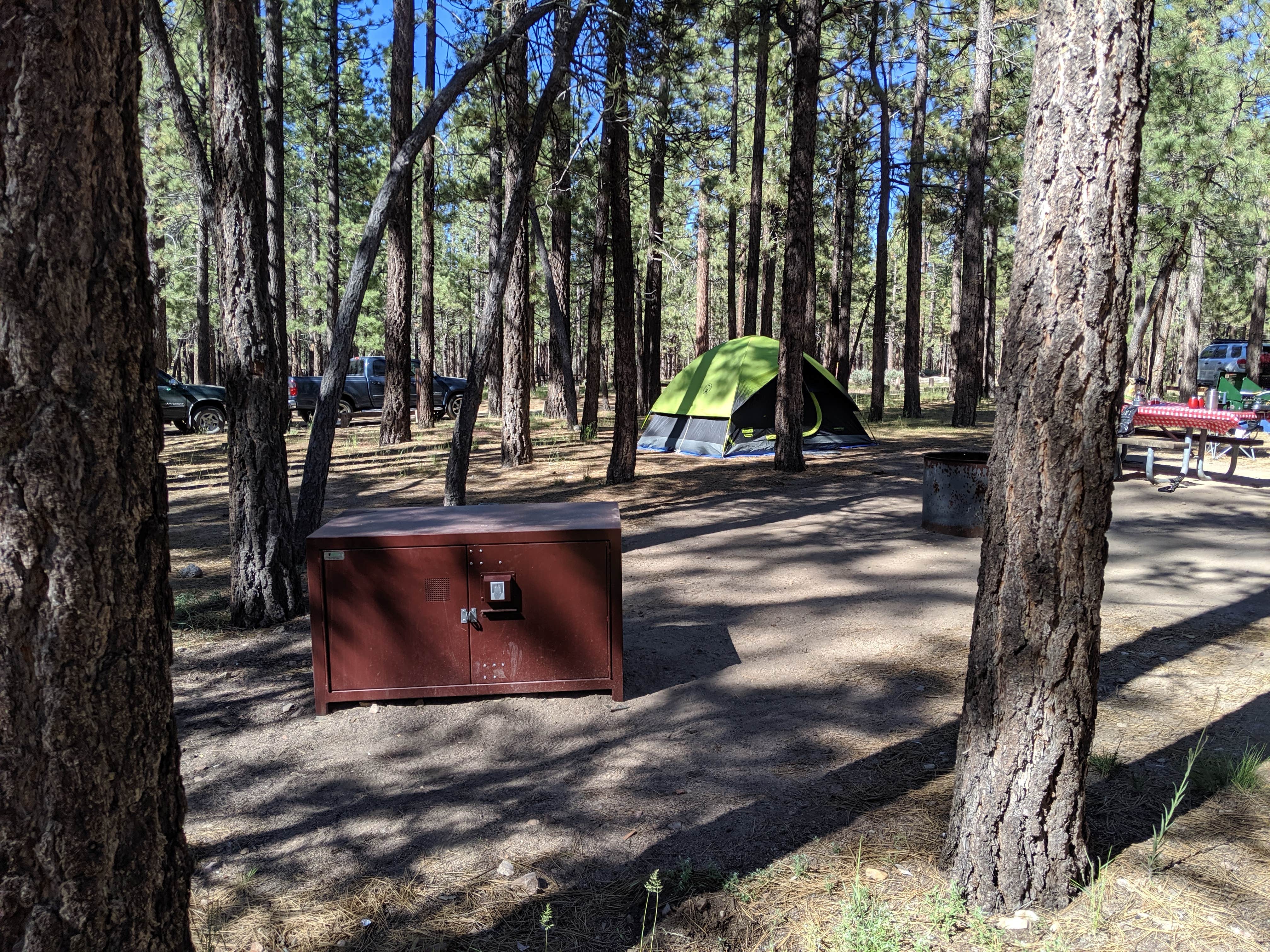 Holcomb Valley Campground | Fawnskin, California