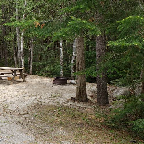 Wilderness Edge Campground Camping | The Dyrt