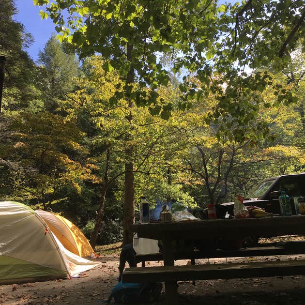 Tellico River Area Camping | Coker Creek, TN