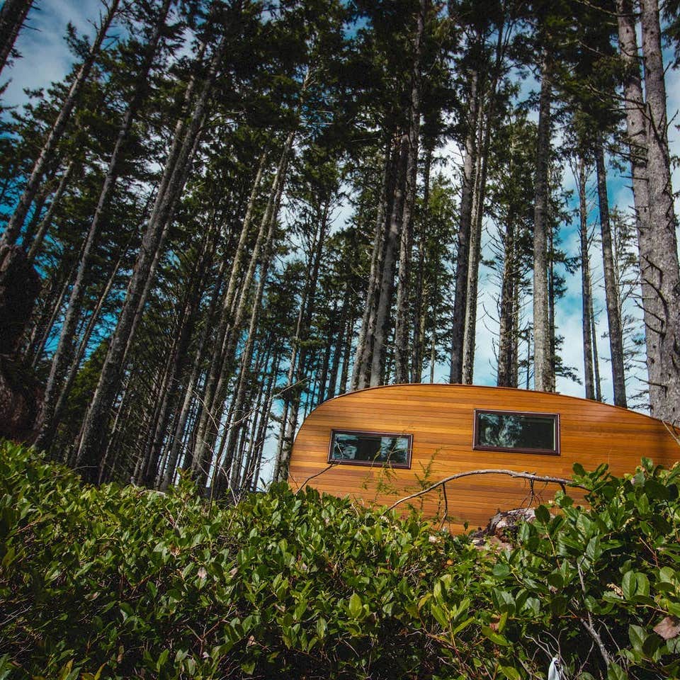 Roam Beyond - Kalaloch Camping | Queets, WA | The Dyrt