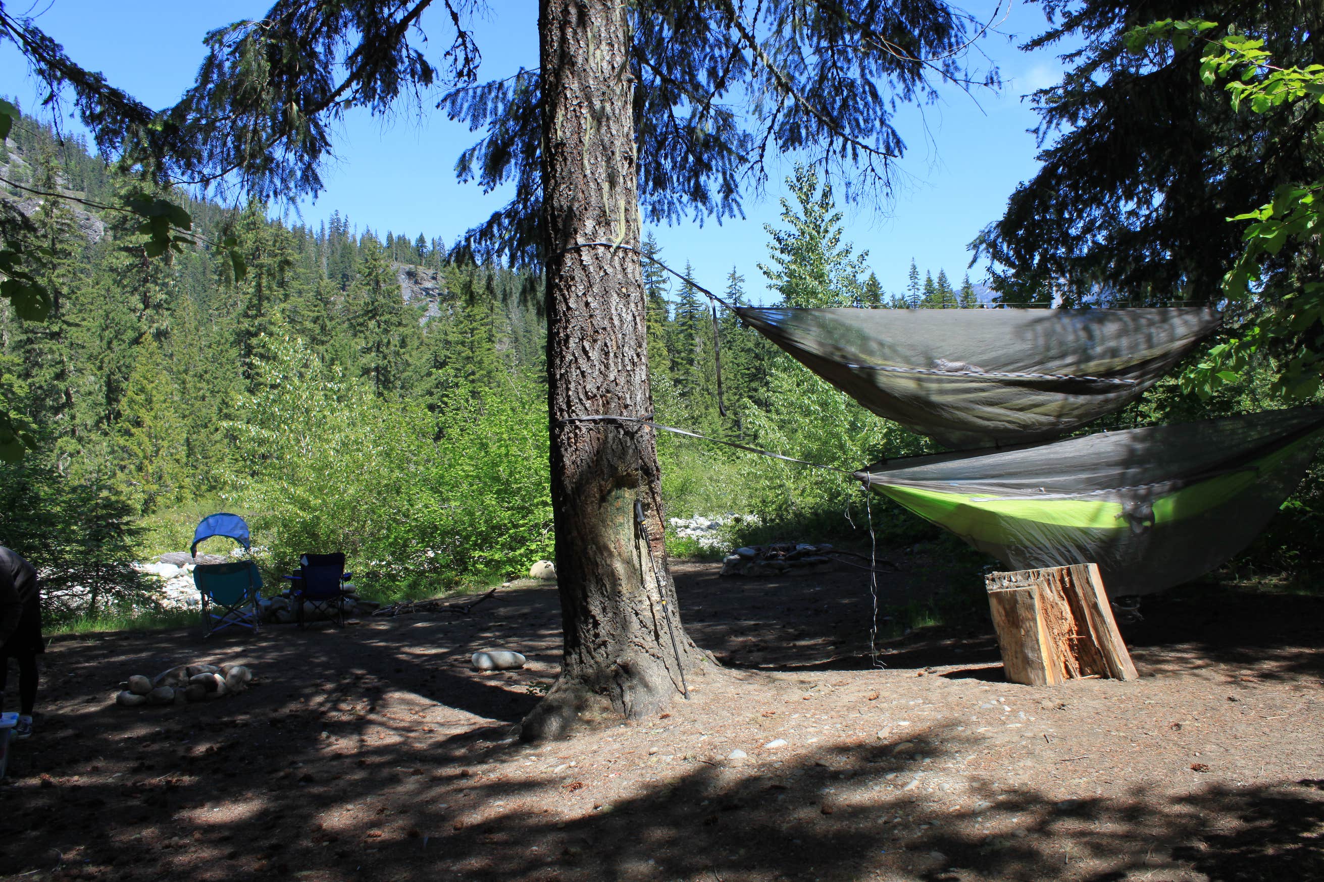 French Cabin Creek Recreation Area Camping | The Dyrt